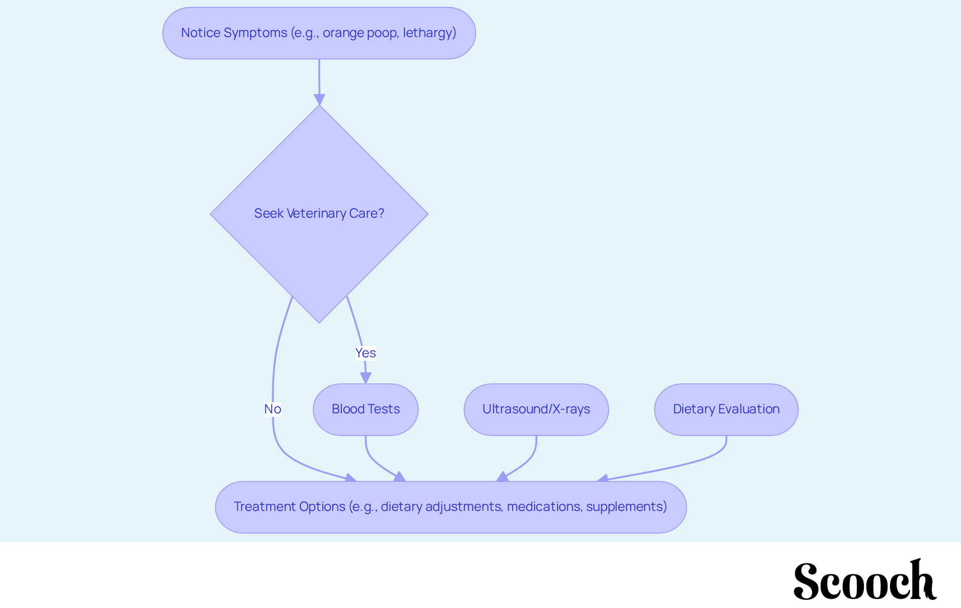 Follow the arrows to see what steps to take if you notice concerning symptoms in your dog. Each box represents a stage in the process, from noticing symptoms to potential treatments.