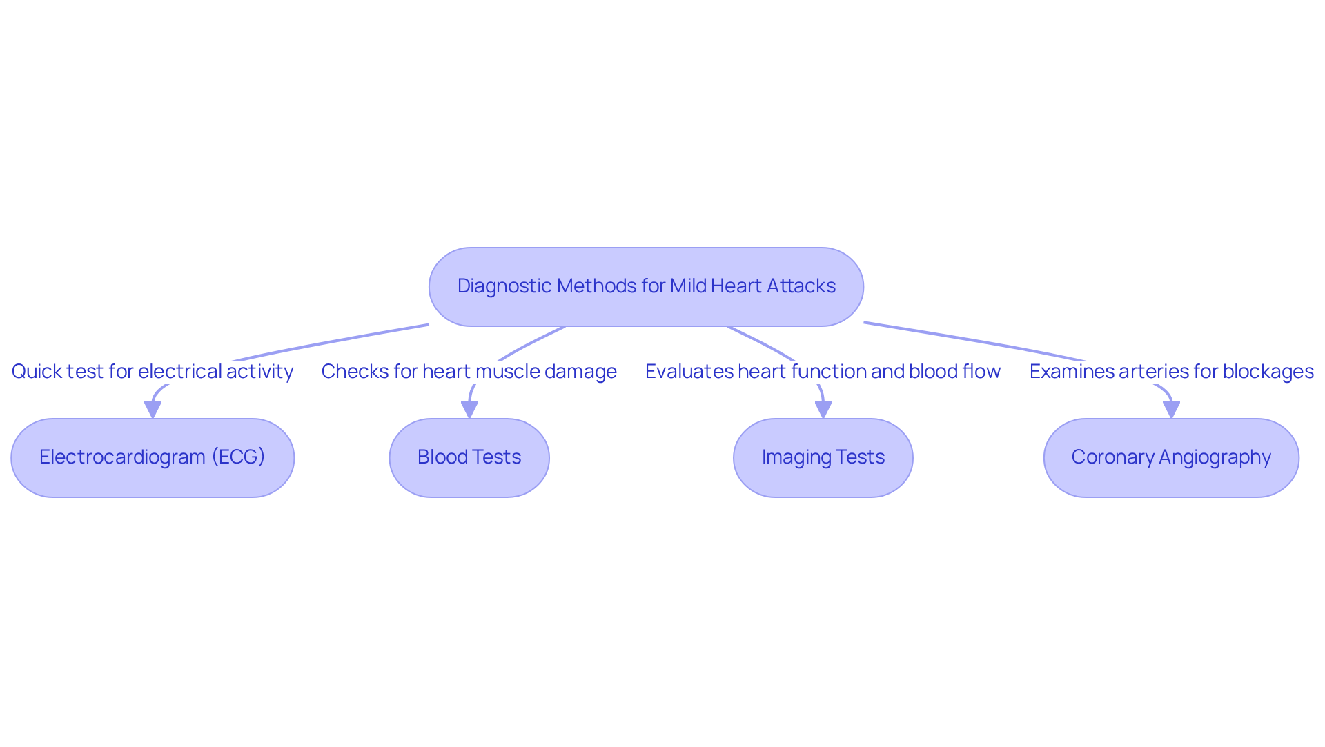 This flowchart shows the steps involved in diagnosing mild heart attacks. Each box represents a different diagnostic method, and the arrows indicate the order in which these methods are typically used. Follow the flow to understand how each test contributes to assessing heart health.