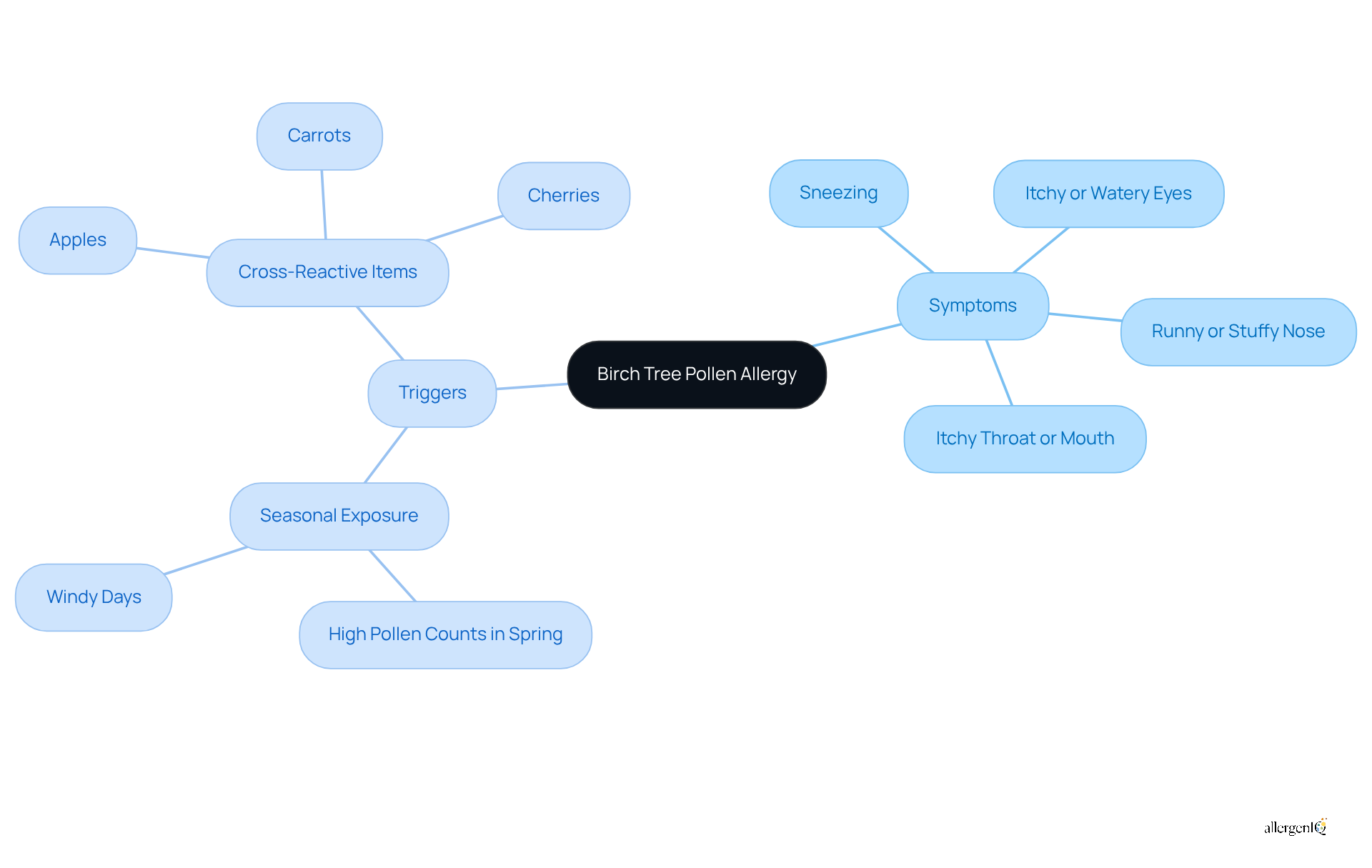 The central node represents the allergy, with branches showing symptoms and triggers. Each symptom and trigger is connected to help you see how they relate to birch pollen allergies.