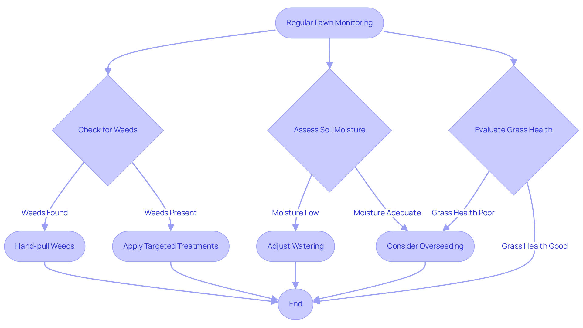 Follow the arrows to see how to keep your lawn healthy. Each step shows what to check and what actions to take to prevent weeds and promote grass health.