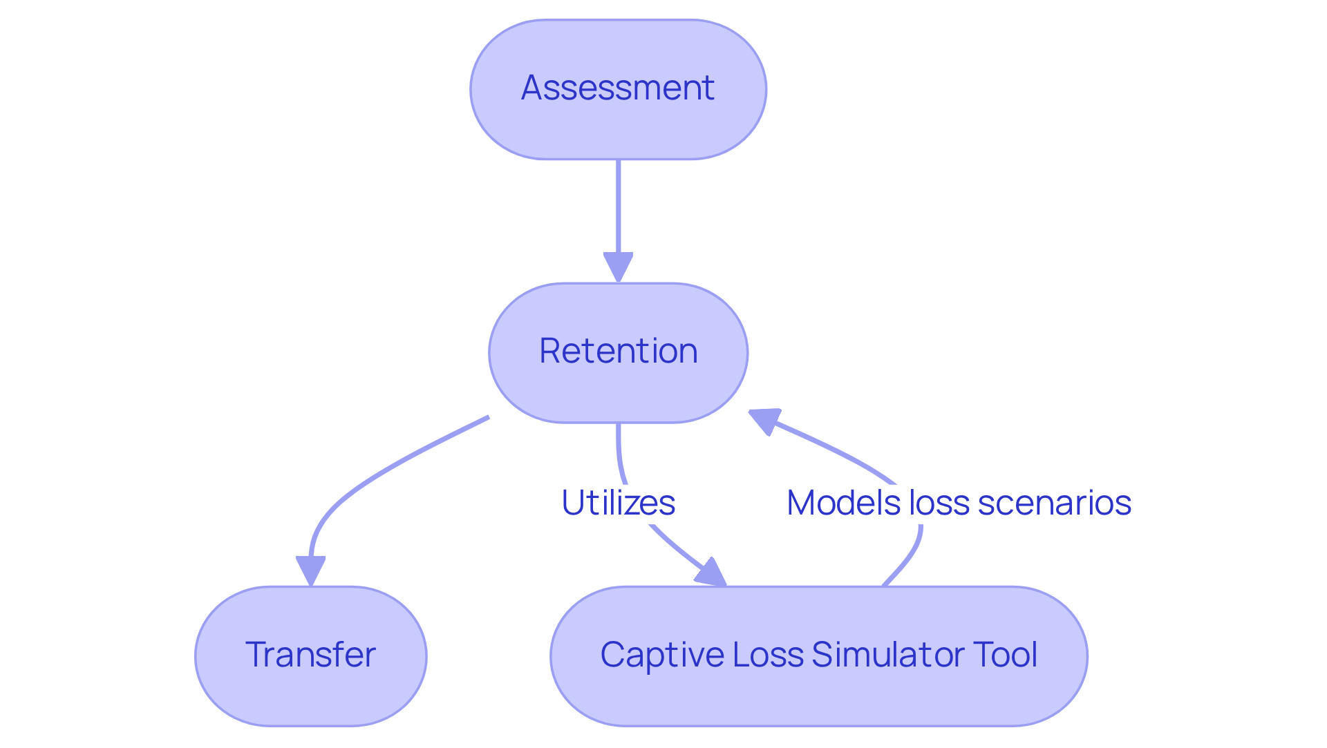 Each box represents a phase in the risk management process. Follow the arrows to see how each phase leads to the next, and note how the Captive Loss Simulator Tool fits into the retention phase.