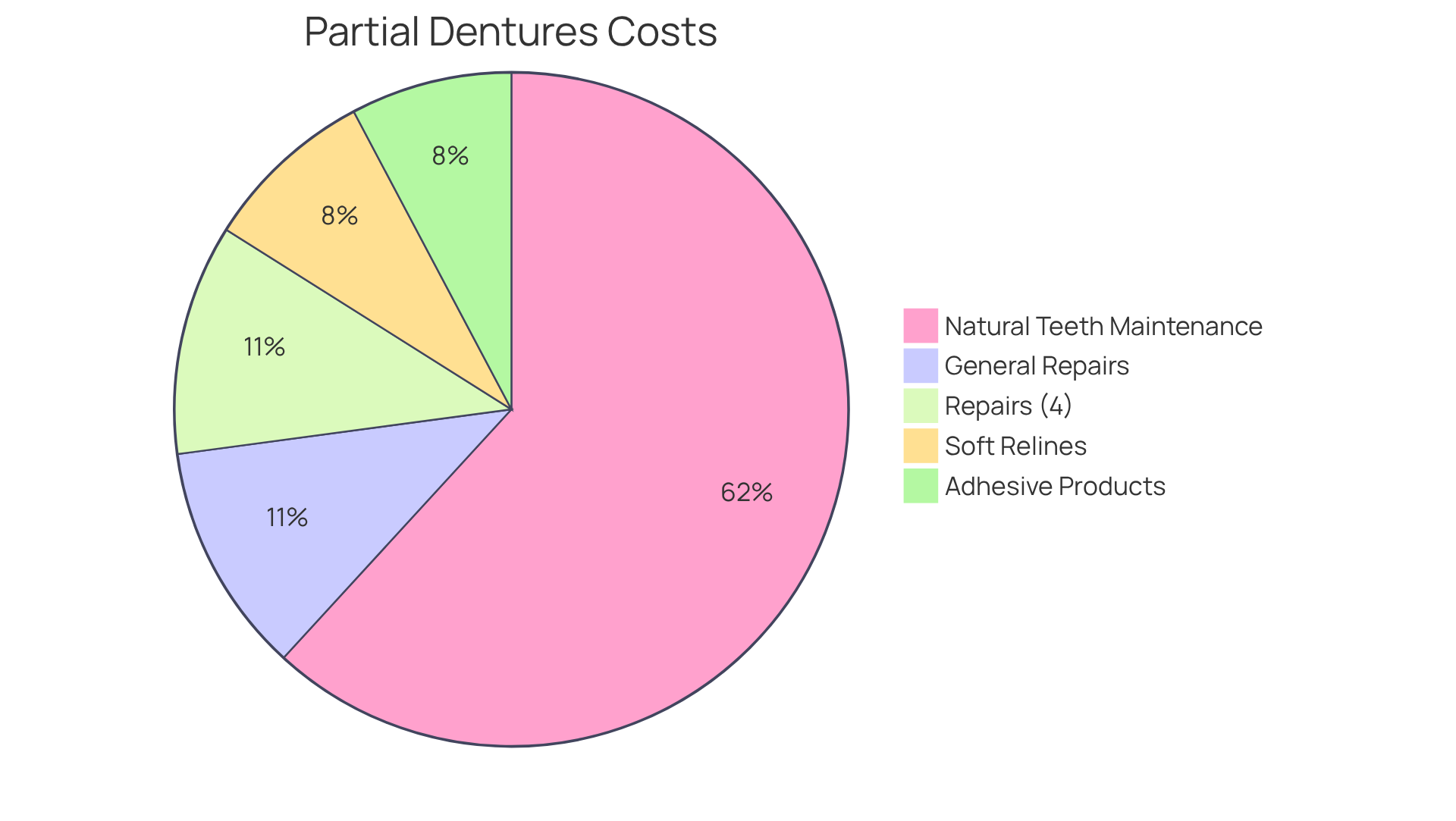 Each slice of the pie represents a different aspect of the costs associated with partial dentures over ten years. The bigger the slice, the more that expense contributes to the overall cost.