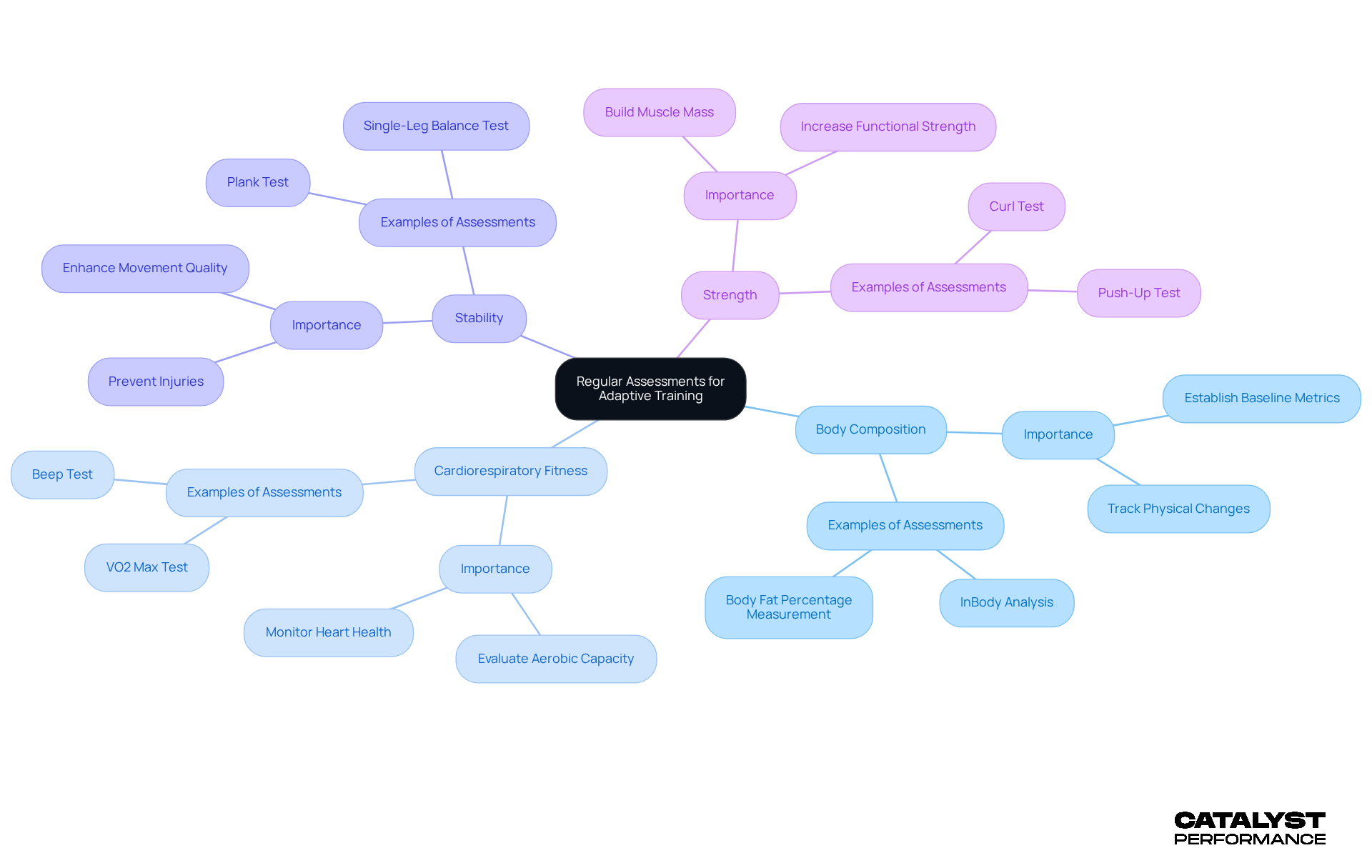 The center represents the importance of regular assessments, while the branches show the four key areas of focus. Each sub-branch provides details on how these assessments contribute to your fitness journey.