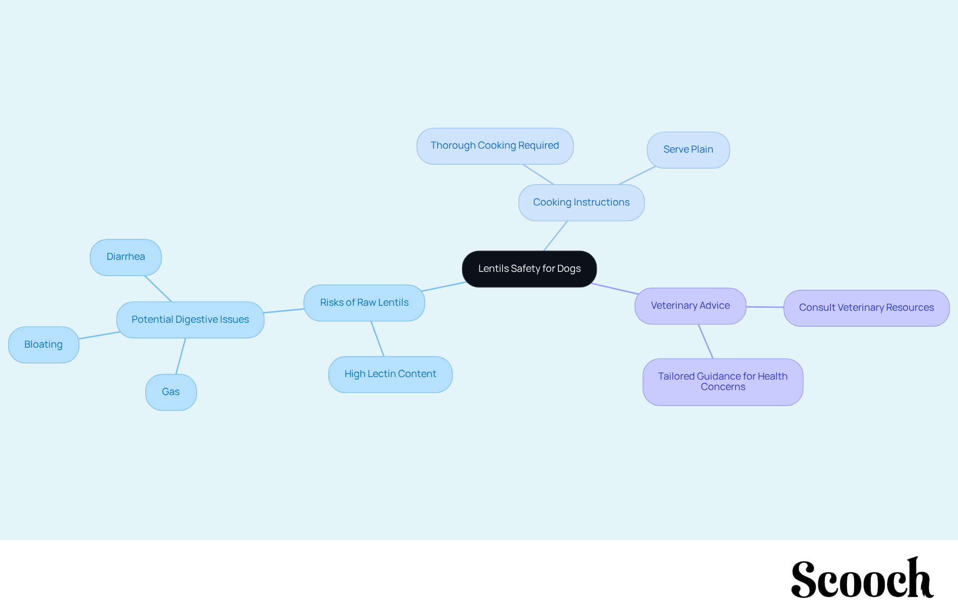 The central node represents the main question about lentils' safety for dogs. Each branch leads to specific considerations, making it easy to understand the key points you should keep in mind.