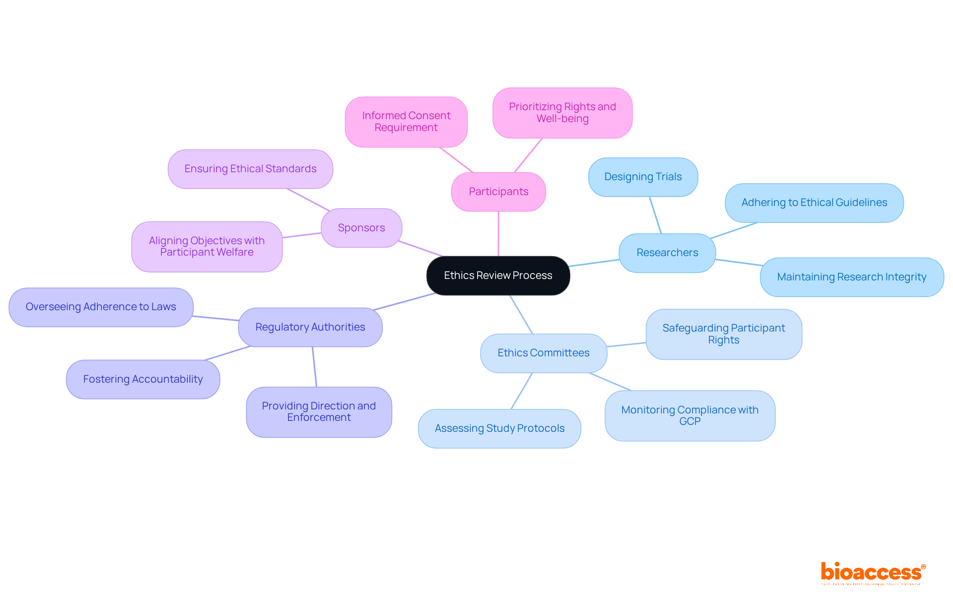 The central node represents the ethics review process, while each branch shows a key stakeholder involved. Sub-branches detail their specific roles, helping you understand how each contributes to ethical clinical trials.