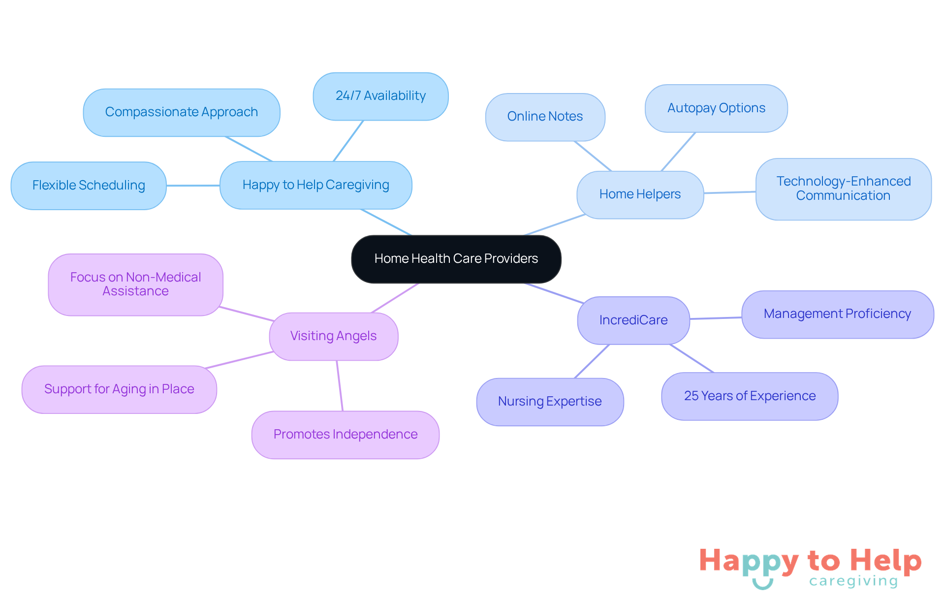 The central node represents the overall topic, while each branch shows a different provider. The sub-branches detail what makes each provider unique, helping families easily compare their options.