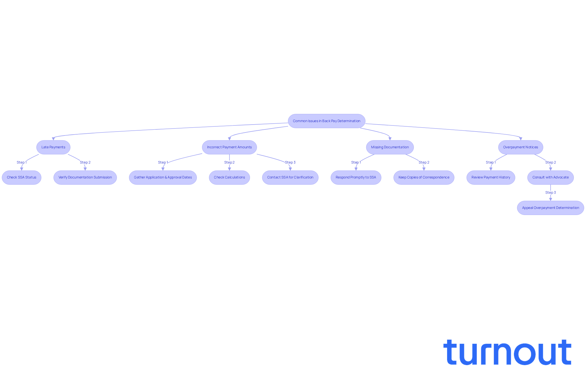 Each box represents a common issue you might face with back pay. Follow the arrows to see the steps you can take to resolve each problem. The flowchart guides you through the process, making it easier to understand what to do next.