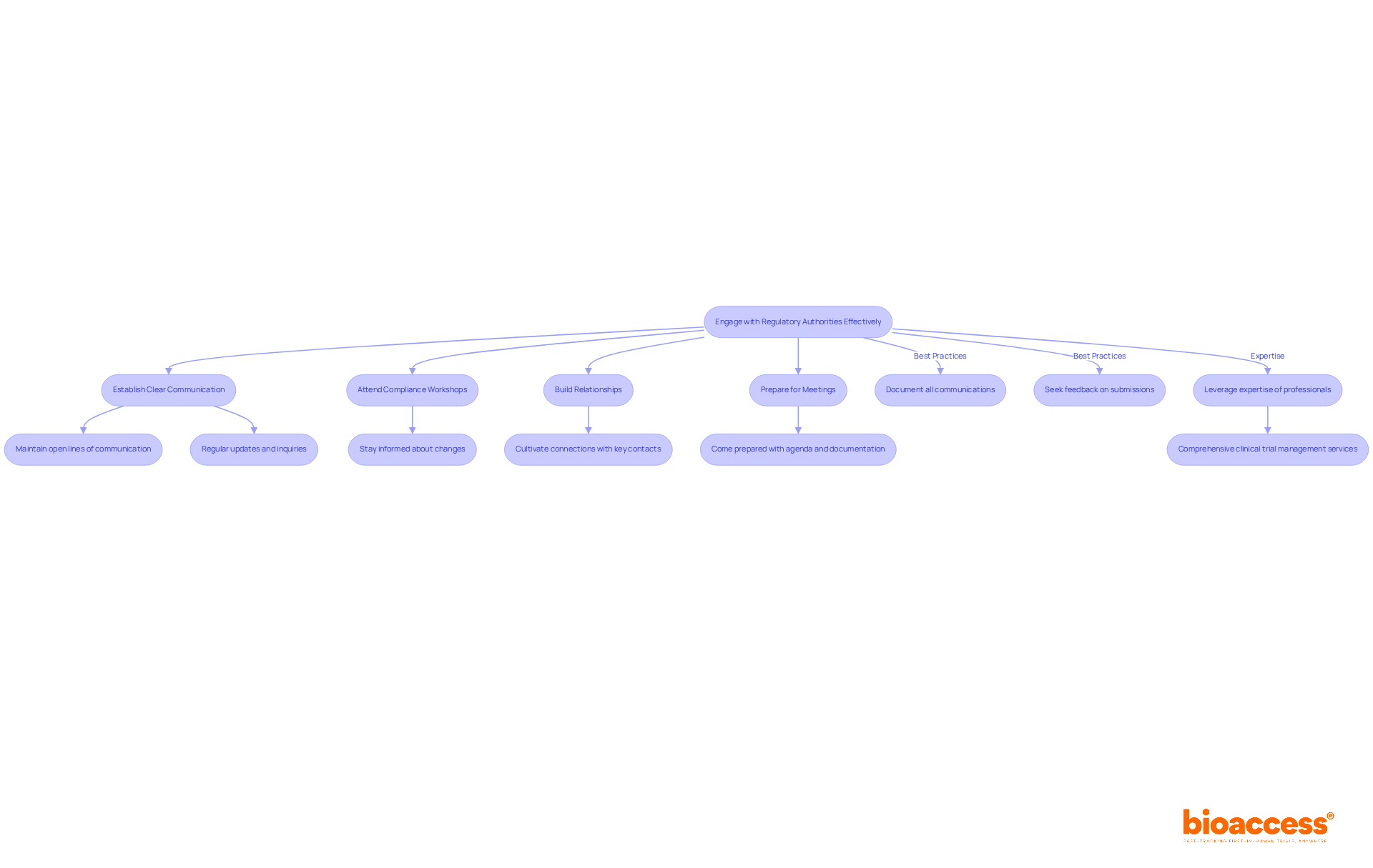Each box represents a strategy or best practice for engaging with regulatory authorities. Follow the arrows to see how each strategy contributes to effective engagement.