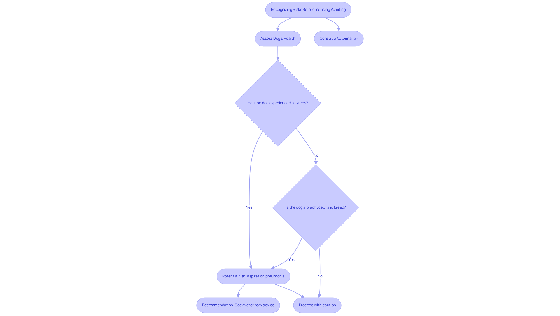 This flowchart guides you through the considerations to make before inducing vomiting in your dog. Follow the boxes and arrows to assess health risks and the importance of consulting a veterinarian.