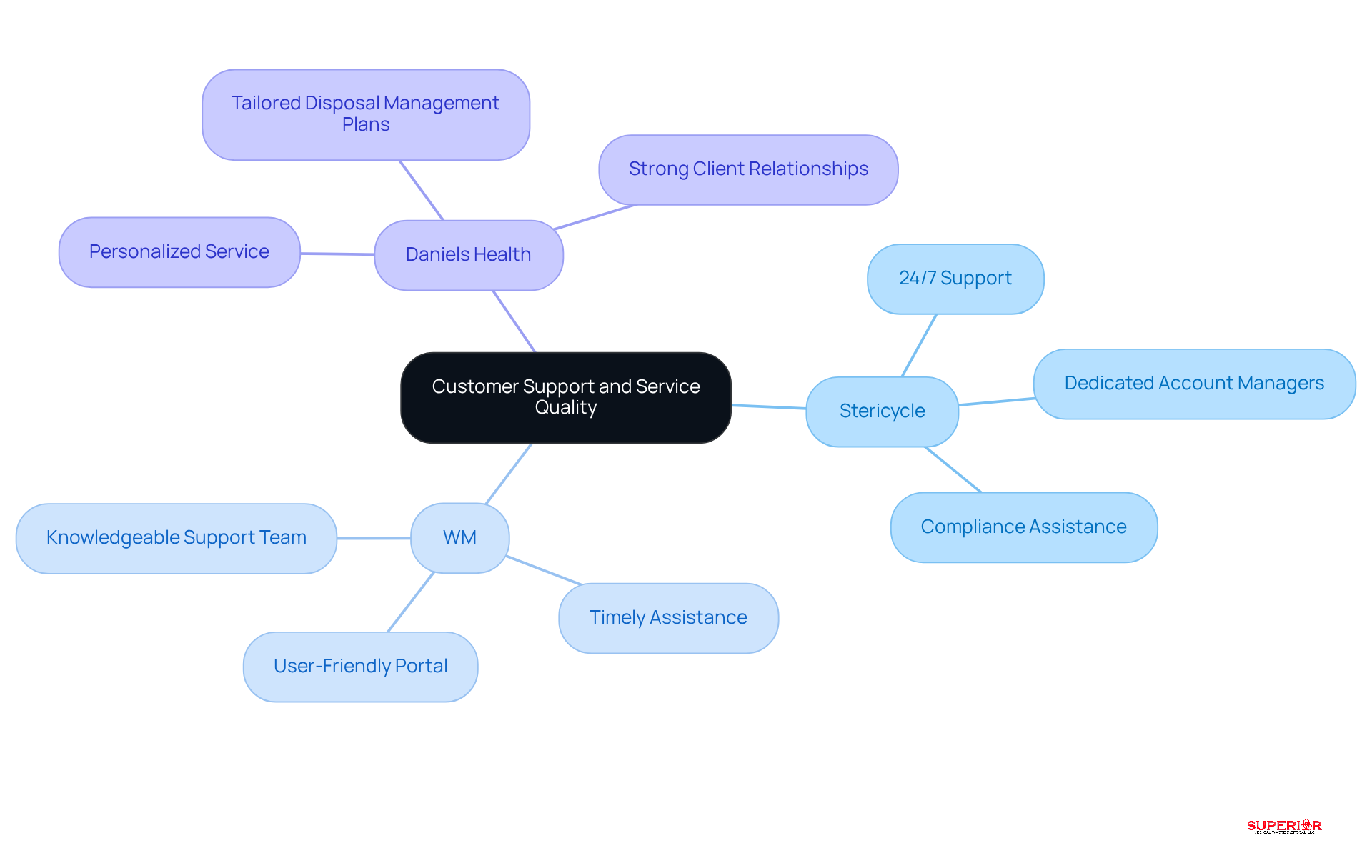 The central node represents the overall theme of customer support and service quality, while each branch highlights a specific company and its unique strengths in providing excellent service.