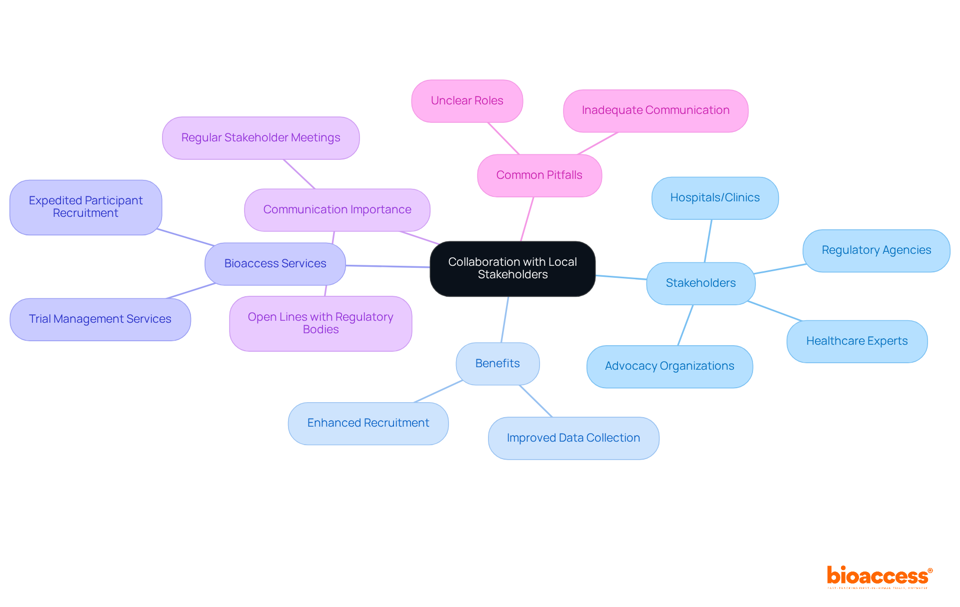 The central idea is collaboration, with branches showing different stakeholders and their contributions. Each branch highlights how these relationships enhance the feasibility study process.