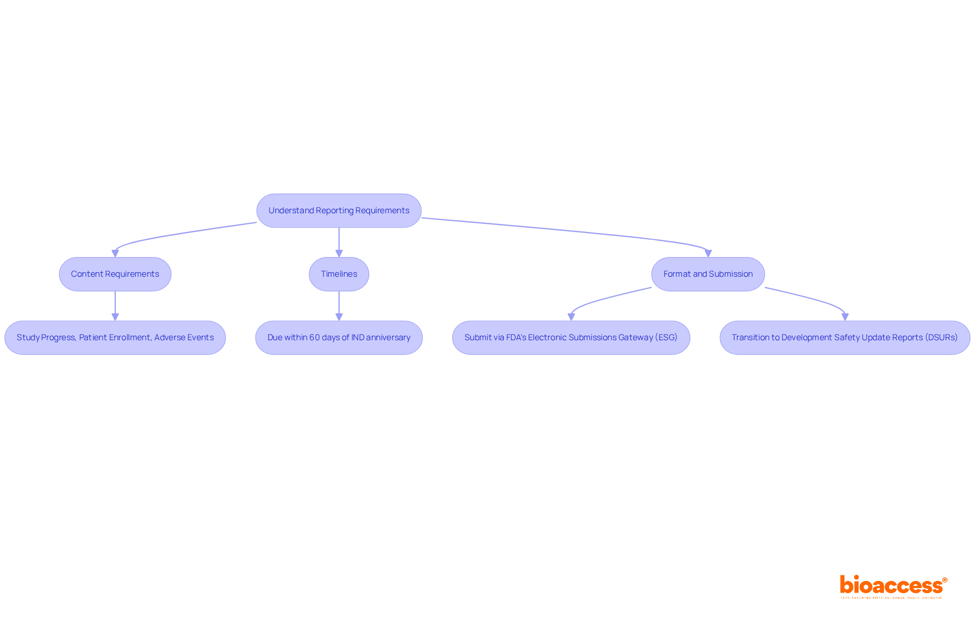 This chart guides you through the steps Clinical Research Directors must follow for FDA annual reports. Each box represents a key part of the reporting process — follow the arrows to see how everything connects!