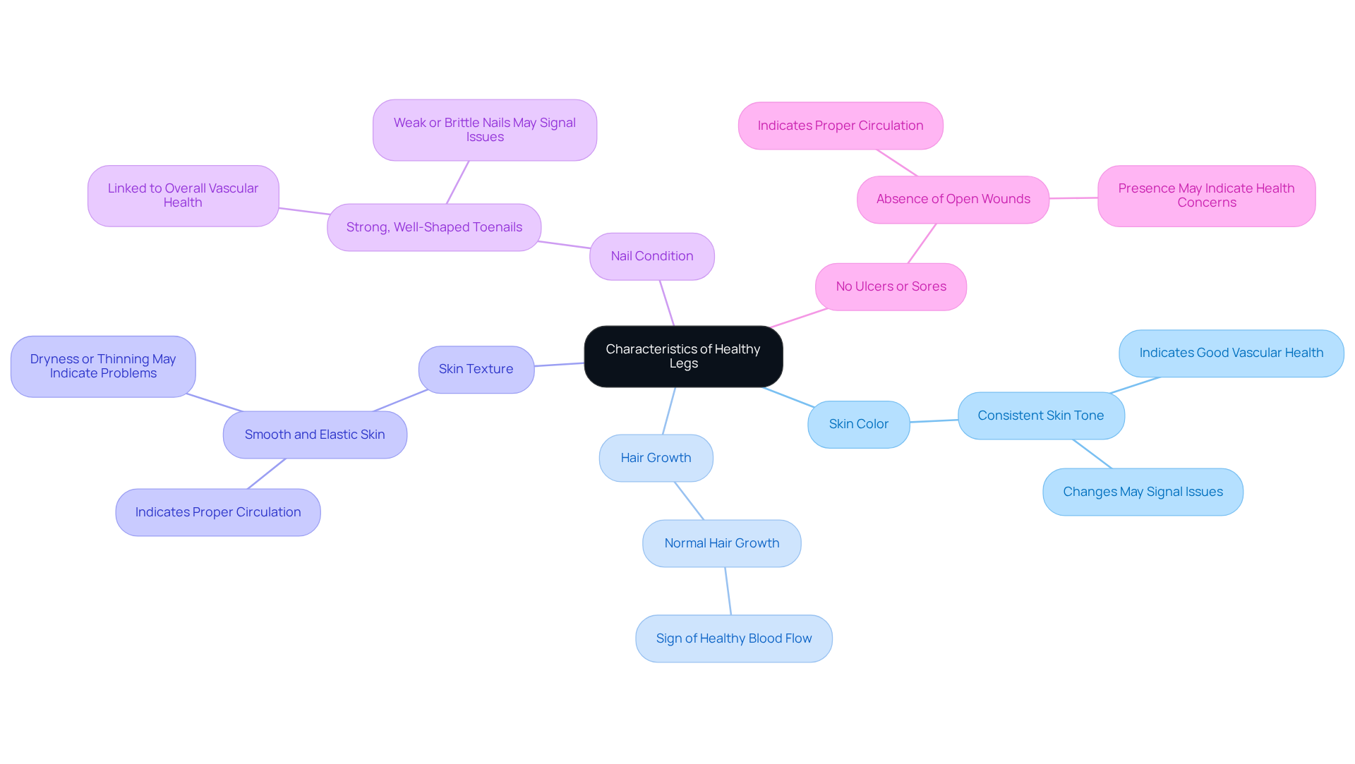 The central node represents the overall topic of healthy legs, while each branch highlights a specific characteristic. Follow the branches to learn what each sign means for your vascular health.
