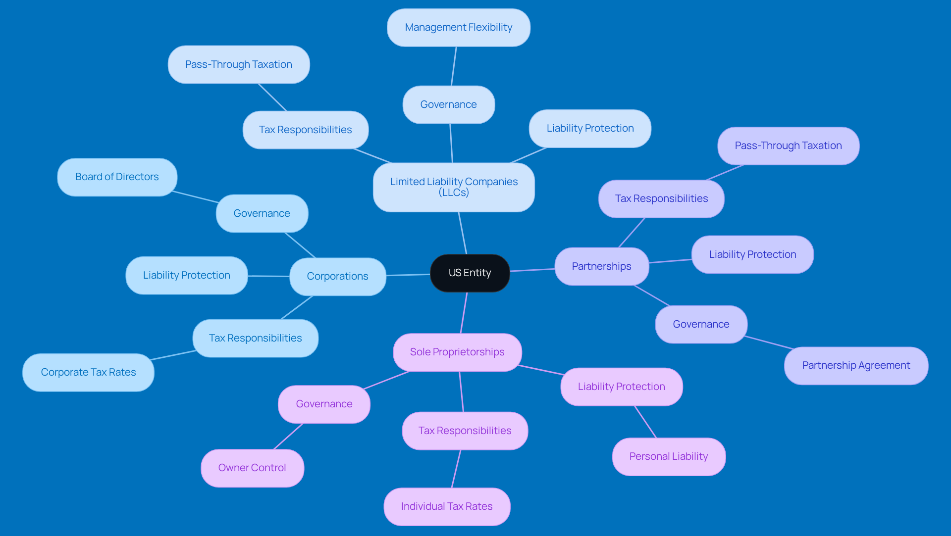 Start at the center with 'US Entity', then explore each branch to learn about different types of entities and their unique features. Each color represents a different entity type, making it easy to differentiate between them.
