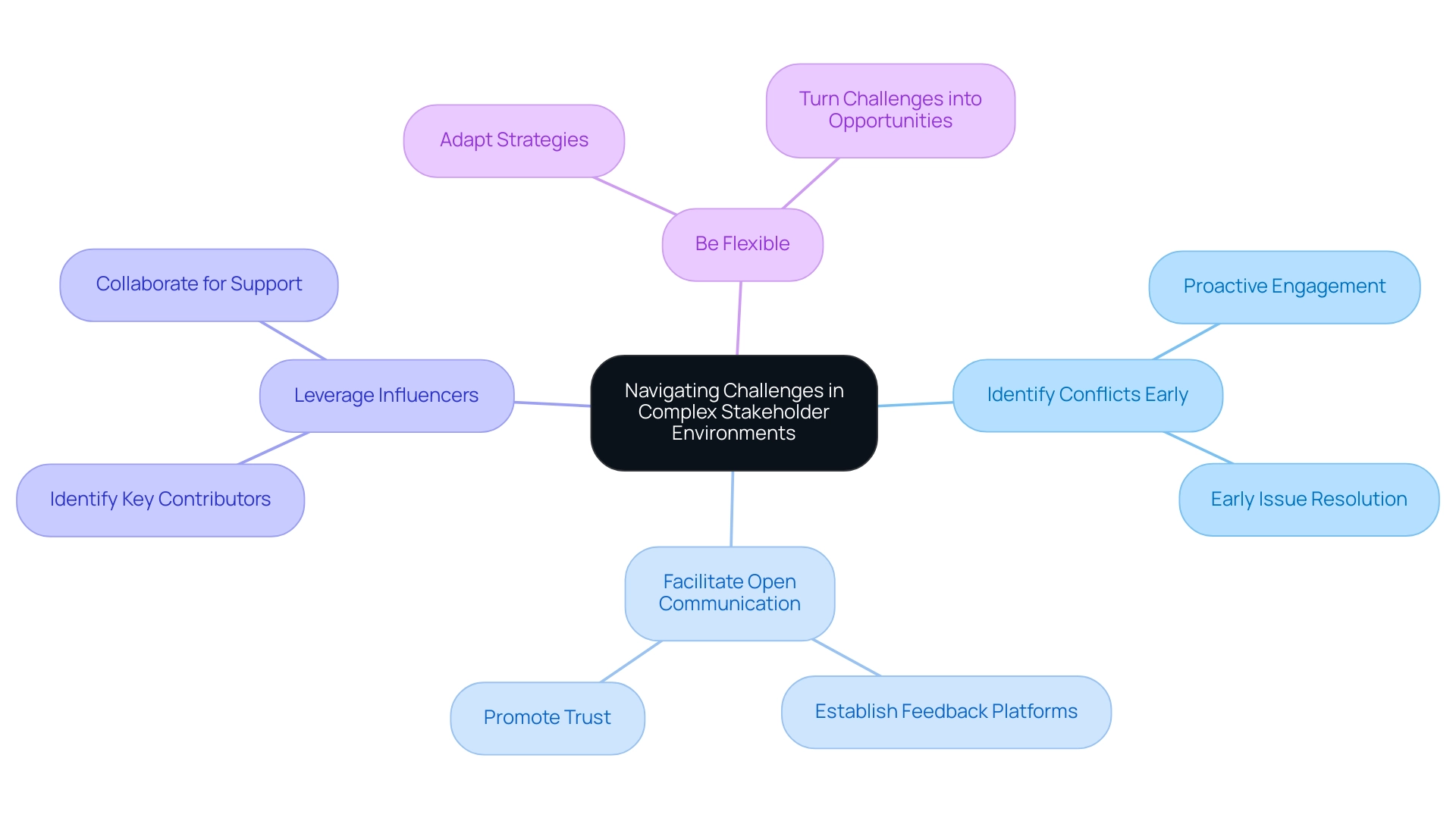 Each branch represents a strategy for managing stakeholders, with sub-branches detailing key actions or considerations for each strategy.