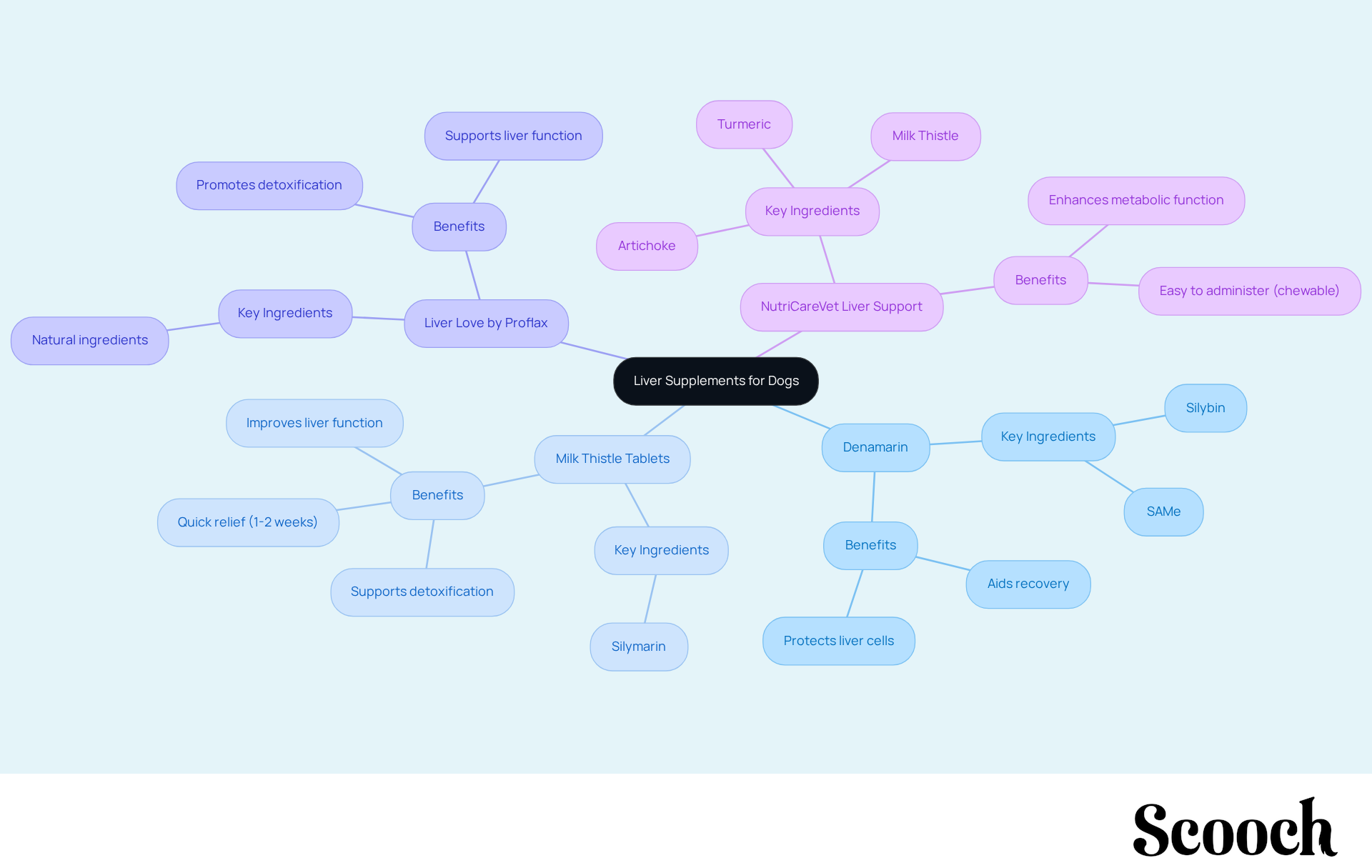 The central node represents the main topic of liver supplements. Each branch shows a different product, and the sub-branches highlight their unique ingredients and benefits. This helps you quickly see which supplement might be best for your dog's needs.