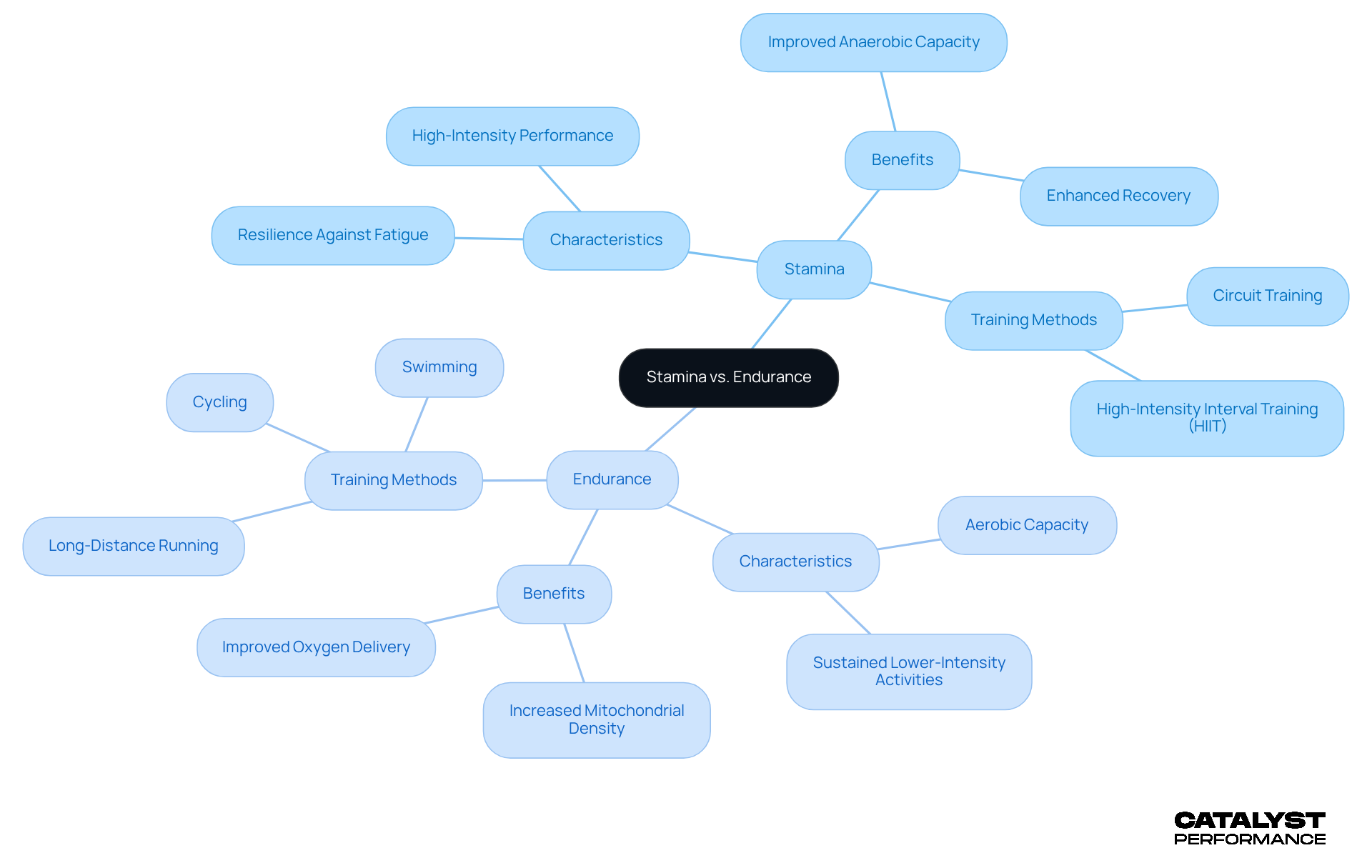 The central node represents the main topic, while the branches show the key characteristics, benefits, and training methods for both stamina and endurance. Each color-coded section helps you easily distinguish between the two concepts.
