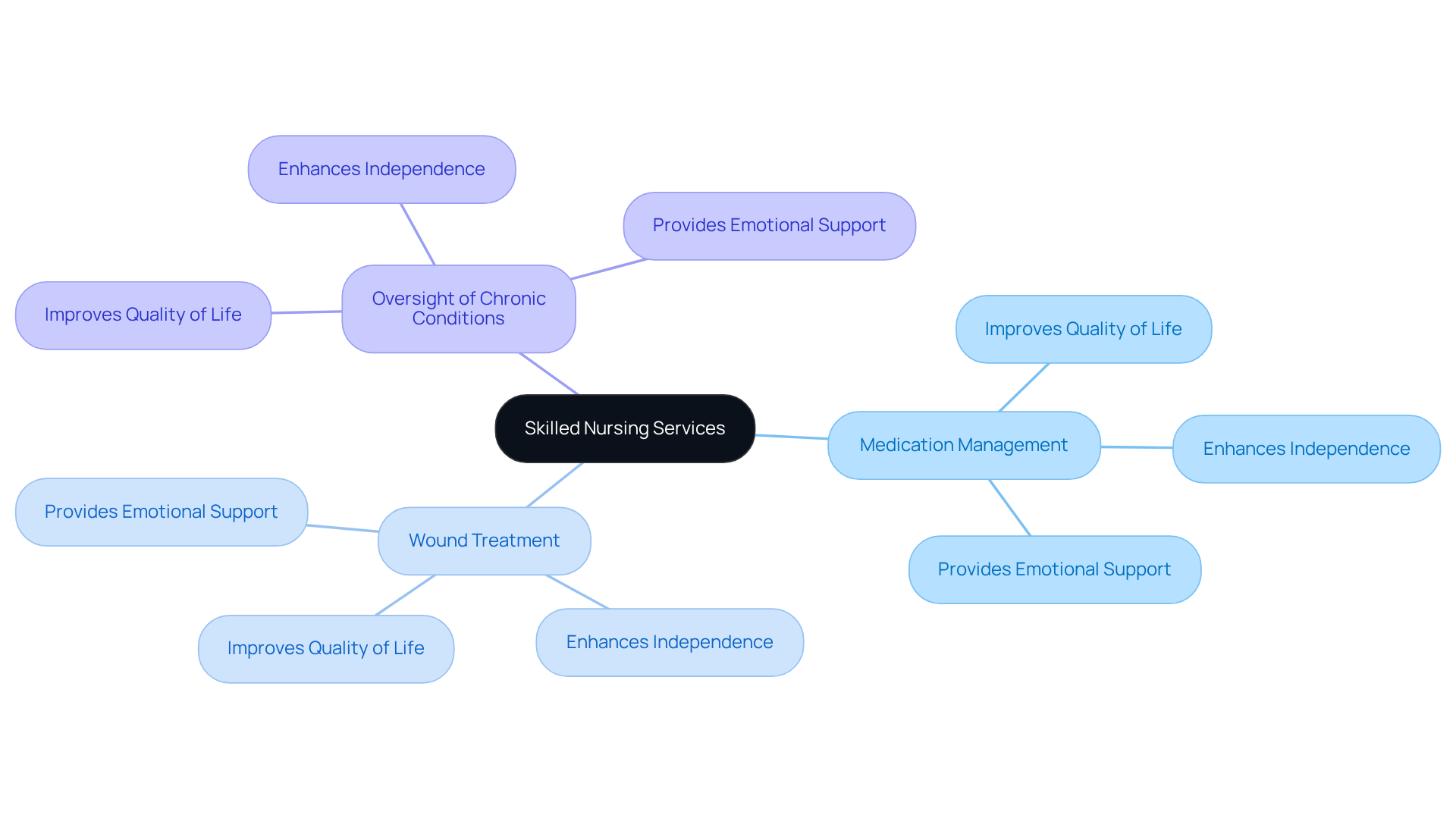 The center represents the overall category of skilled nursing services, with branches breaking down the specific services offered and their associated benefits. Follow the branches to see how each service contributes to the well-being of clients.