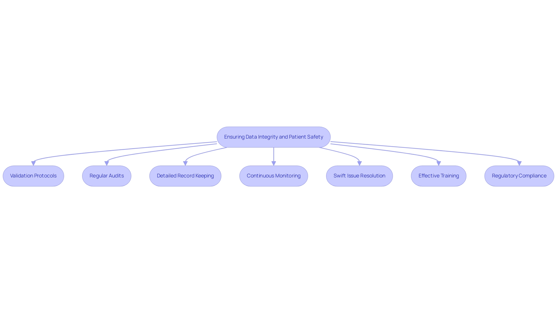 Each box represents a key practice or step in ensuring data integrity and patient safety, with arrows indicating the flow and relationship between practices.