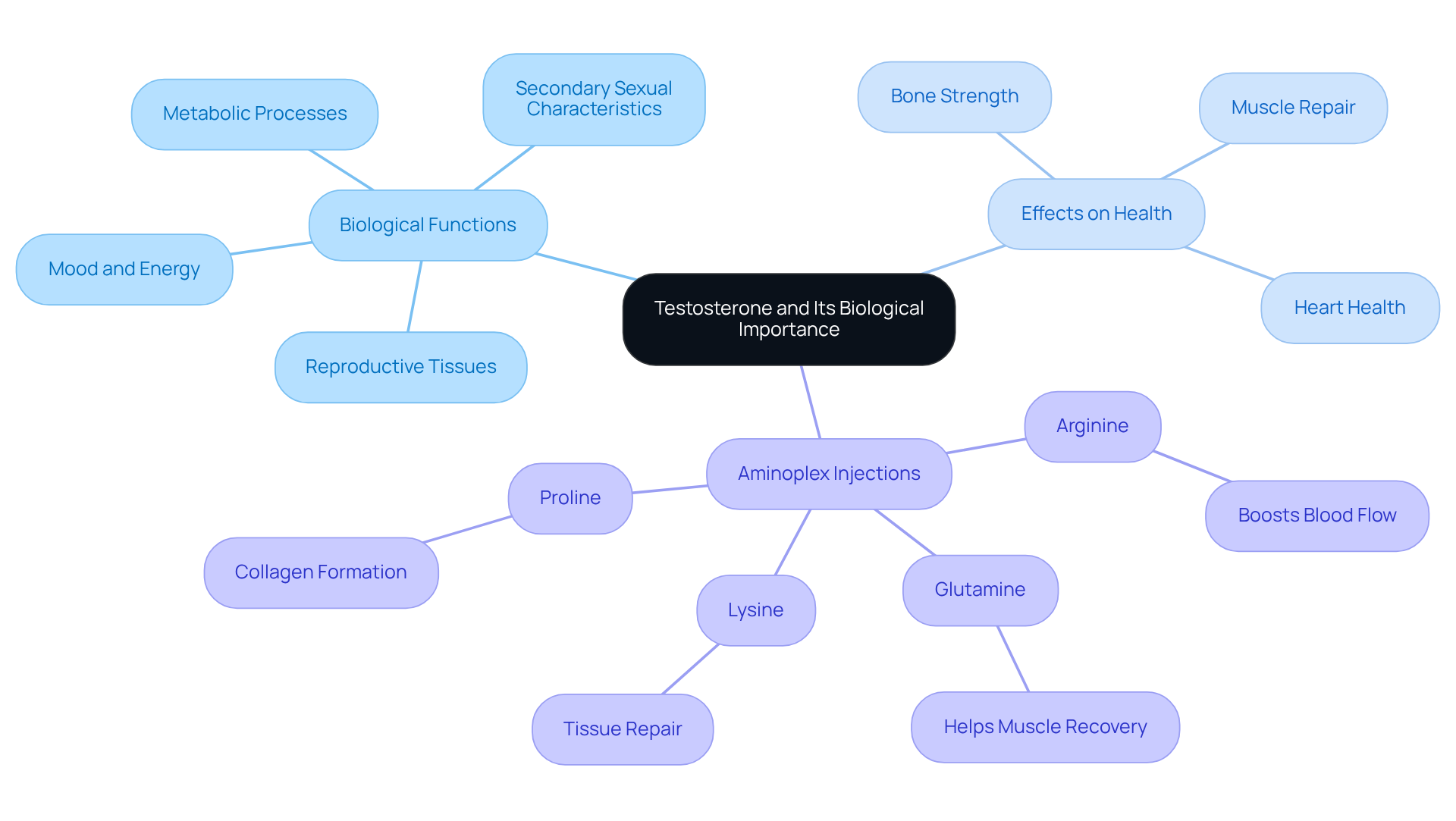 The central node represents testosterone, with branches showing its various functions and related treatments. Each branch highlights important aspects of testosterone's impact on health and wellness.