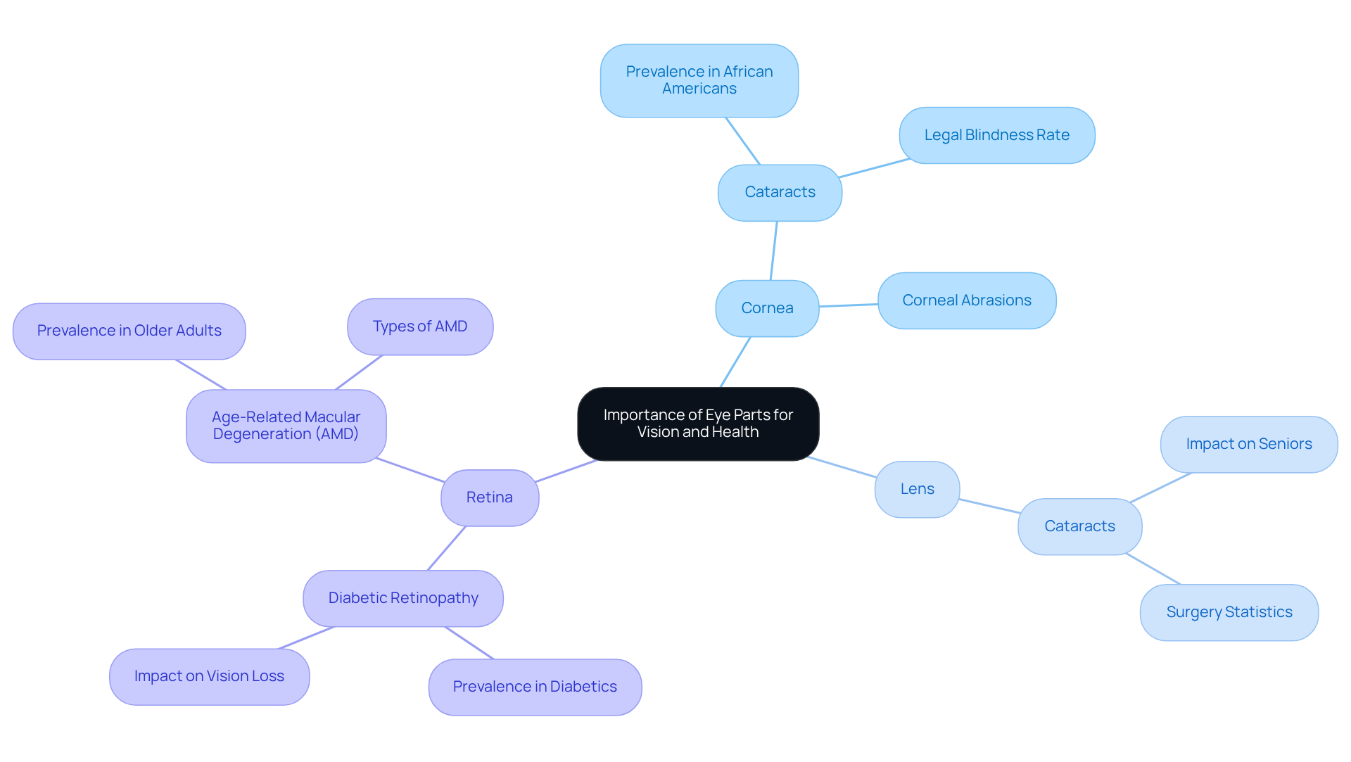 The central node represents the overall importance of eye health, while the branches show the key parts of the eye and their related health conditions. Each color-coded branch helps you quickly identify which issues are associated with which part of the eye. The central node represents the overall importance of eye health, while the branches show the key parts of the eye and their related health conditions. Each color-coded branch helps you quickly identify which issues are associated with which part of the eye.