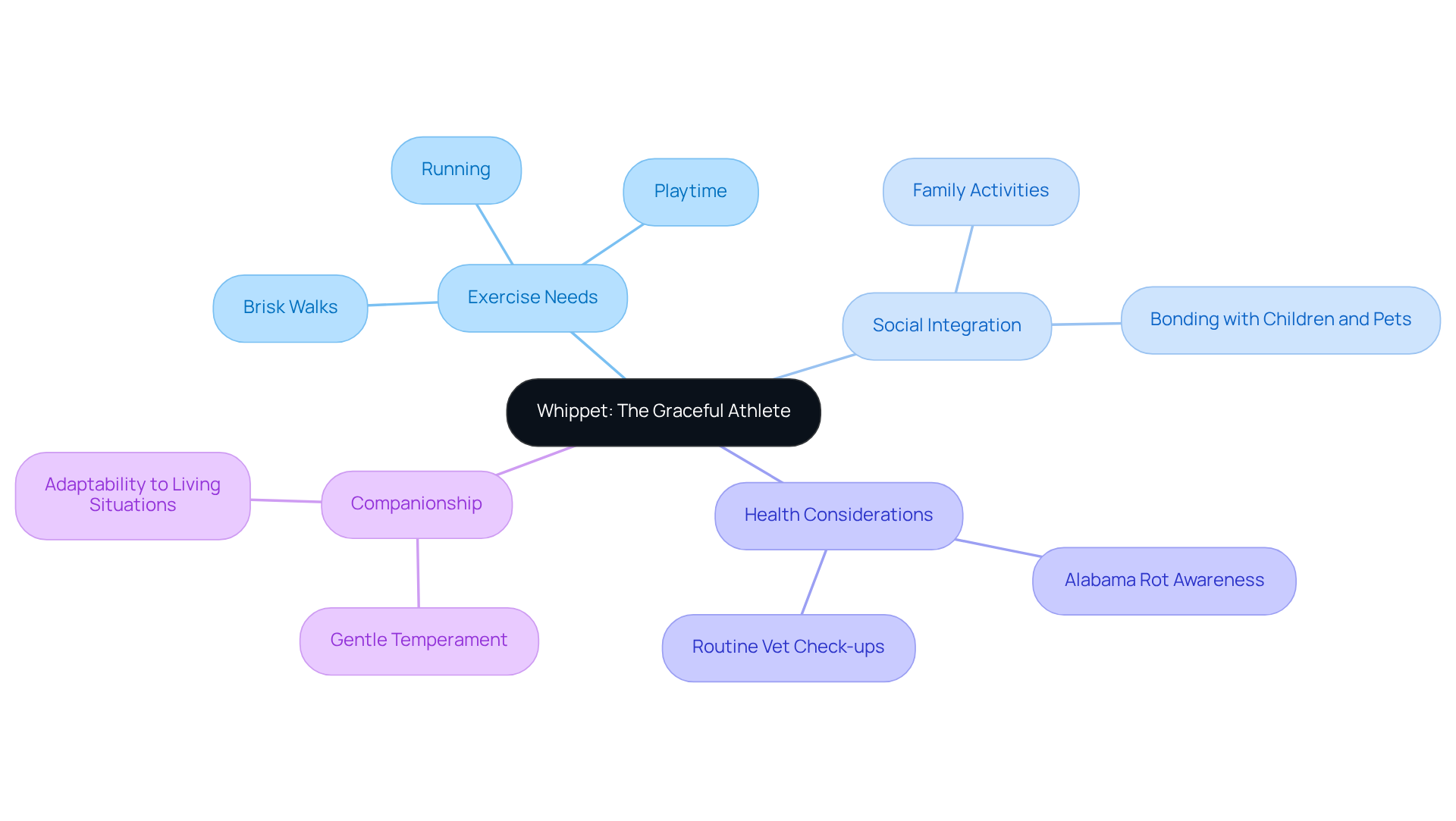 The center represents the overall theme of Whippets, while the branches show their exercise, social, and health needs — follow the branches to understand how each part contributes to a happy life for these dogs.