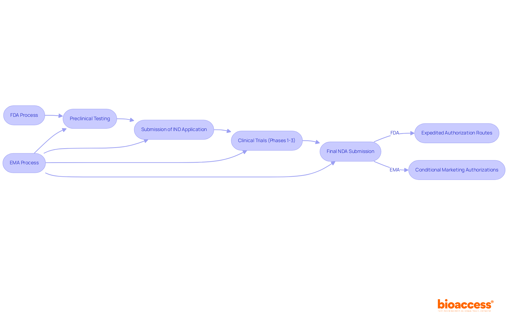 Follow the paths to see how the FDA and EMA each guide drugs through the approval process. The boxes represent stages, and the arrows show the order of steps. Special notes highlight key differences in their approaches.
