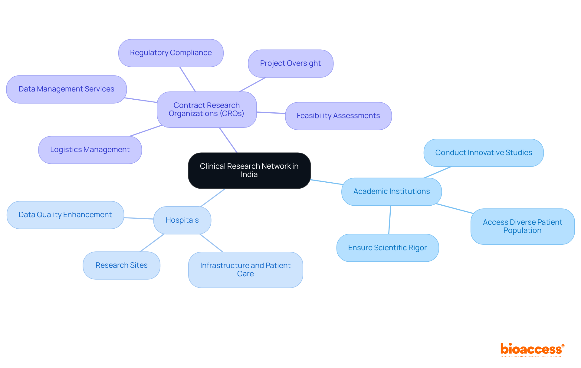 The central node represents the overall network, while the branches show the key contributors and their roles. Each color-coded branch helps you quickly identify the different parts of the network and understand how they work together.