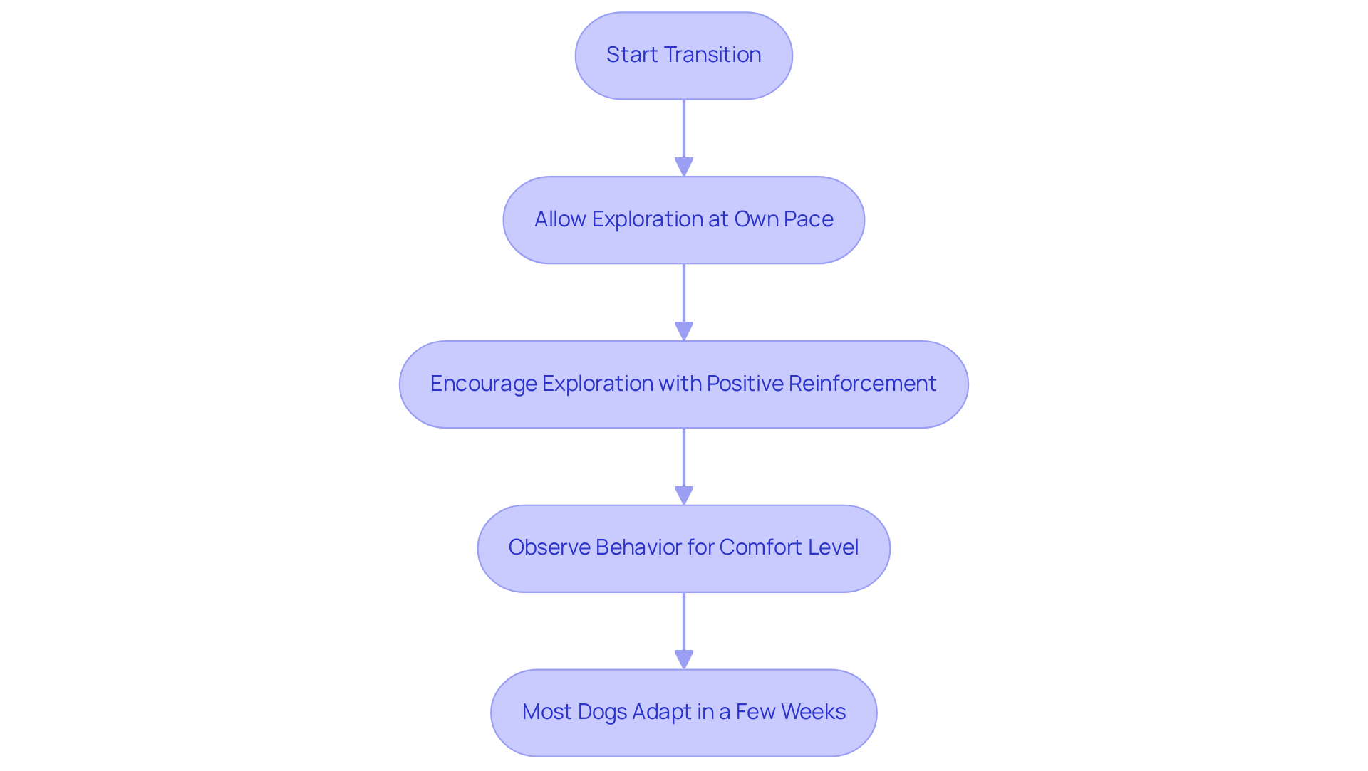 This flowchart shows the process of helping dogs adapt to artificial grass. Start at the top and follow the arrows to see each step: from allowing them to explore, to encouraging them, observing their behavior, and knowing that most dogs will adjust in a few weeks.