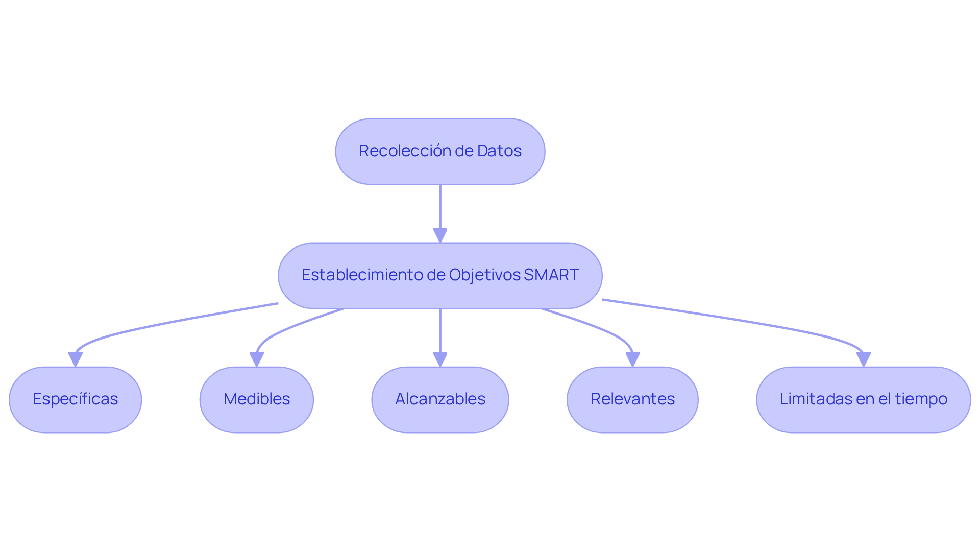 Cada cuadro representa un paso en el proceso de auditoría. Sigue las flechas para entender cómo avanzar desde la recolección de datos hasta el establecimiento de objetivos claros que guiarán tus estrategias de marketing. Cada cuadro representa un paso en el proceso de auditoría. Sigue las flechas para entender cómo avanzar desde la recolección de datos hasta el establecimiento de objetivos claros que guiarán tus estrategias de marketing.
