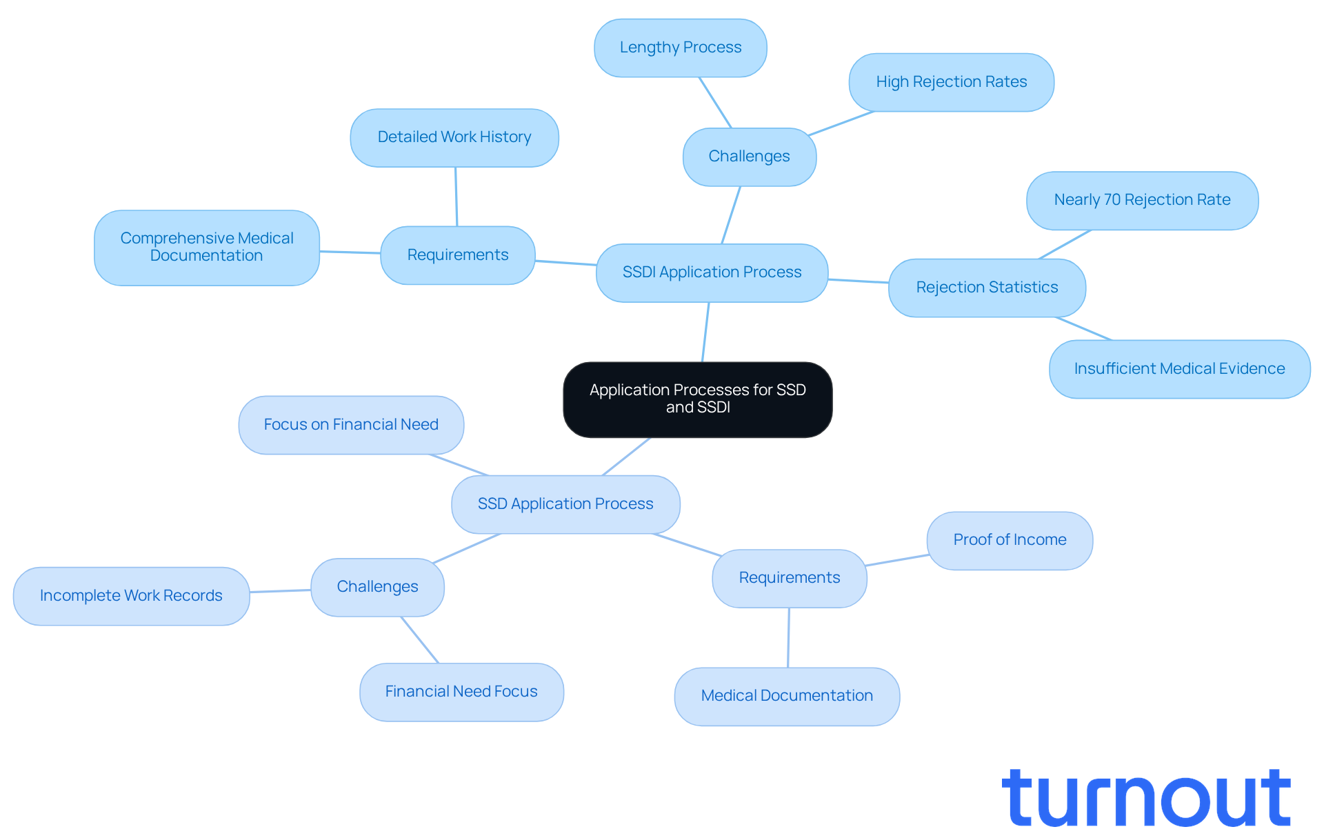 The central node represents the overall topic, while the branches show the two application processes. Each sub-branch details specific requirements and challenges, helping you understand what to expect and how to prepare.