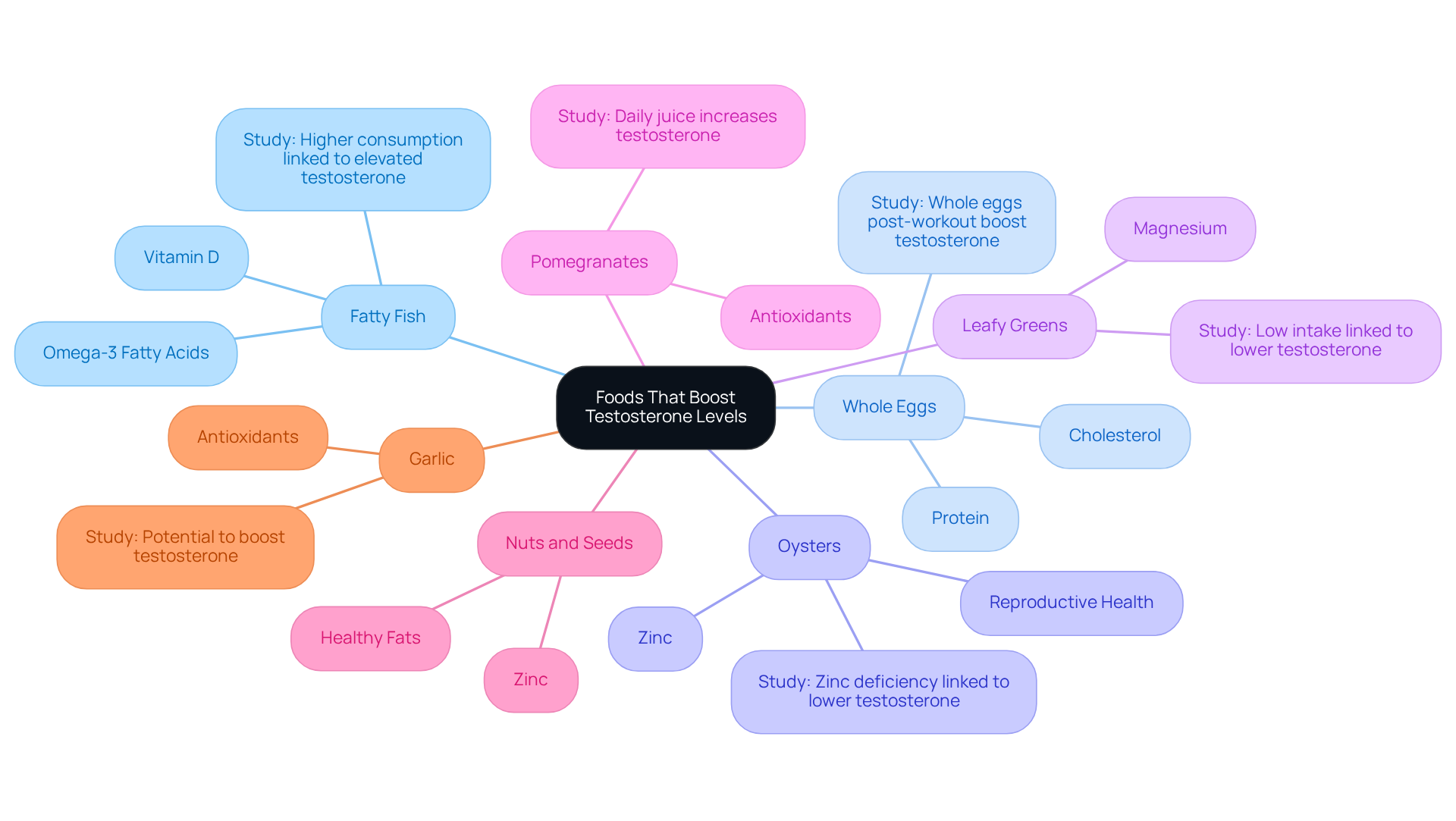 At the center, you'll find the main topic. Each branch represents a food that can help boost testosterone, with additional details about what makes it beneficial. Follow the branches to learn how each food contributes to your hormone health!