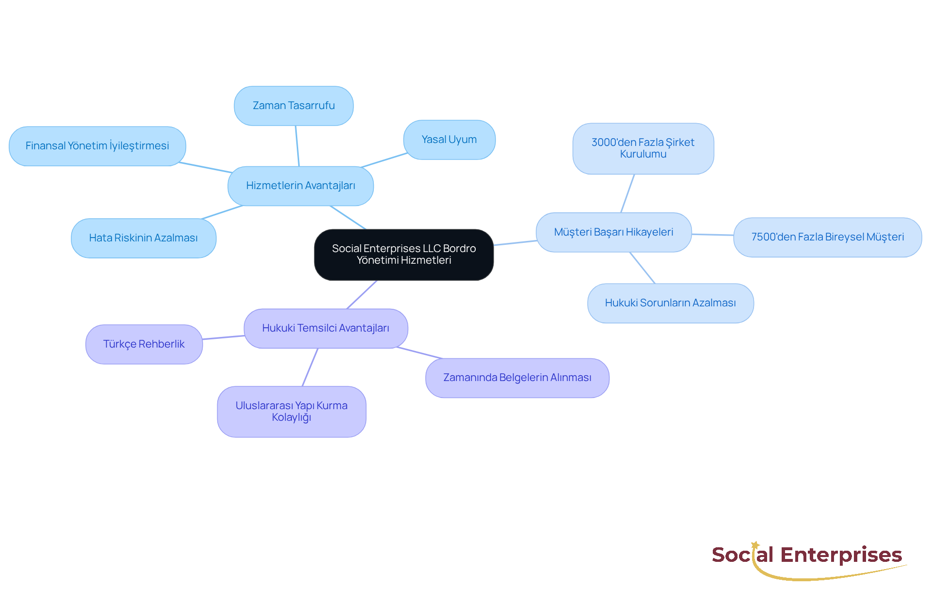 Merkezdeki başlık, şirketin sunduğu hizmetleri temsil eder. Dallar ise bu hizmetlerin faydalarını, başarı hikayelerini ve hukuki avantajları açıklamaktadır. Her dalın rengi, konunun kapsamını ve önemini vurgulamak için kullanılmıştır.