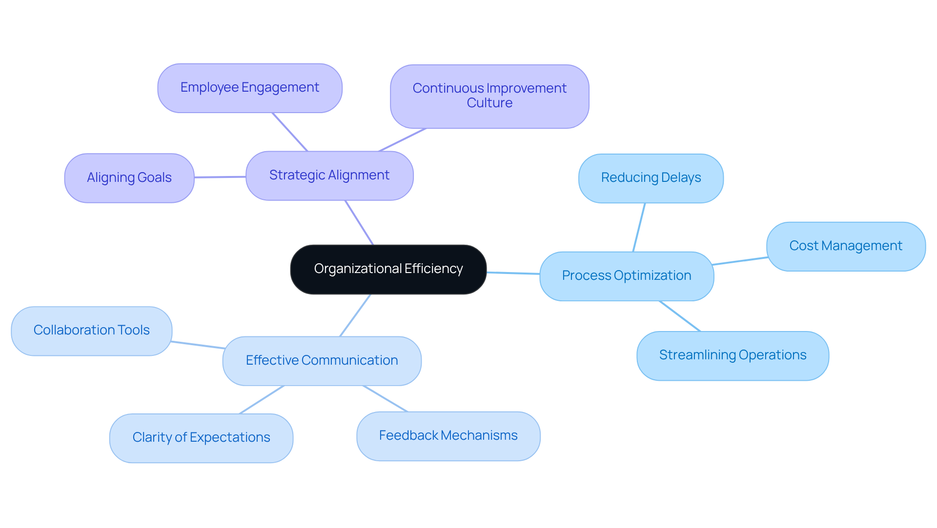 This mindmap starts with the main idea of organizational efficiency at the center. Each branch represents a key element that contributes to efficiency, and the sub-branches provide more details and examples. Follow the branches to see how these elements connect and support overall organizational goals.