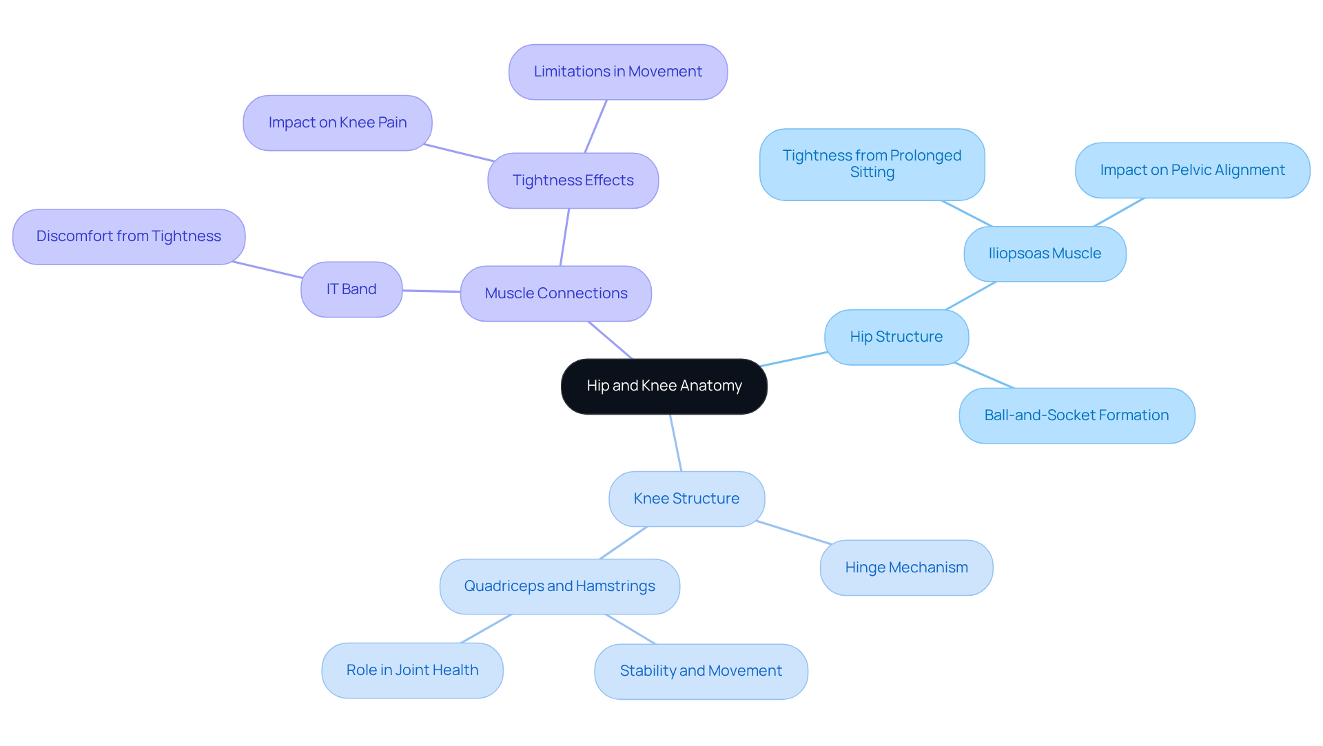 This mindmap illustrates how different parts of the hip and knee work together. Start at the center with the main topic, then follow the branches to see how each structure and muscle is connected. Each color represents a different aspect of anatomy, helping you visualize the relationships and understand how tightness in one area can affect others. This mindmap illustrates how different parts of the hip and knee work together. Start at the center with the main topic, then follow the branches to see how each structure and muscle is connected. Each color represents a different aspect of anatomy, helping you visualize the relationships and understand how tightness in one area can affect others.