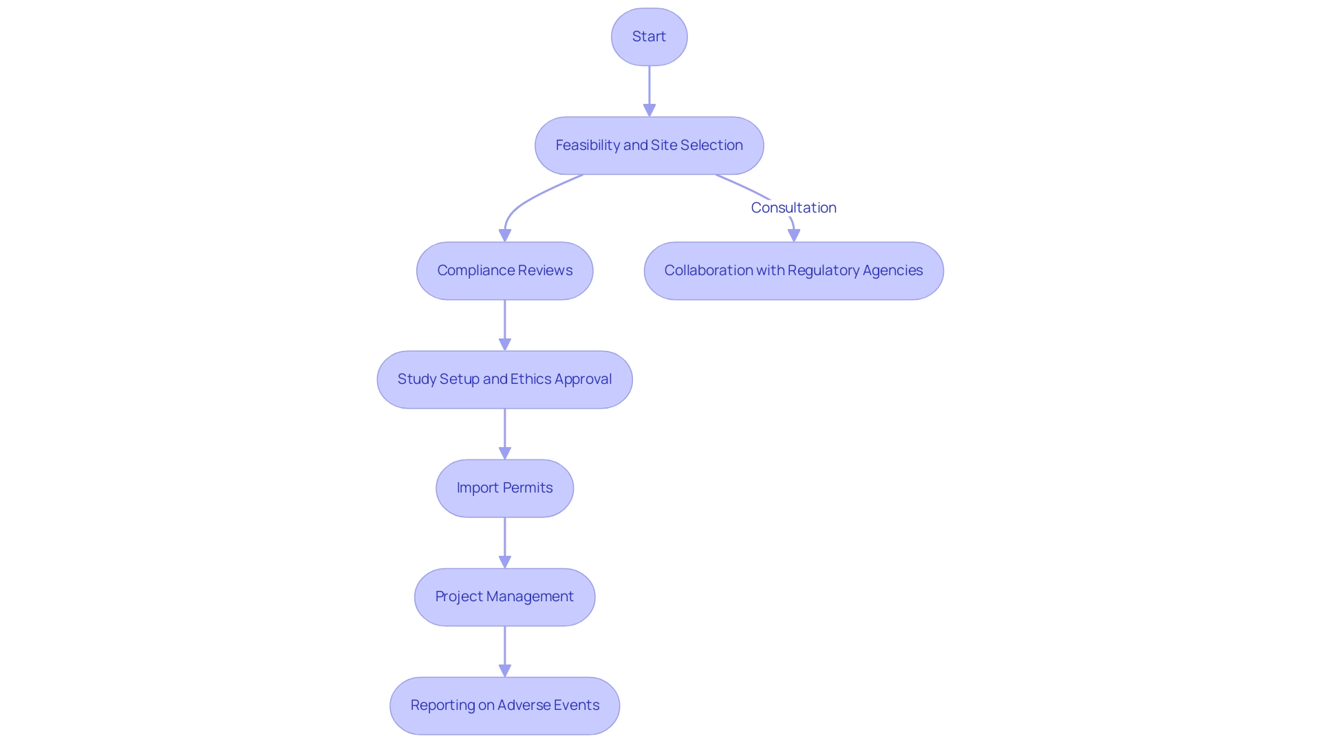 Each box represents a key step in the regulatory process, with arrows indicating the flow of actions required to navigate compliance successfully.