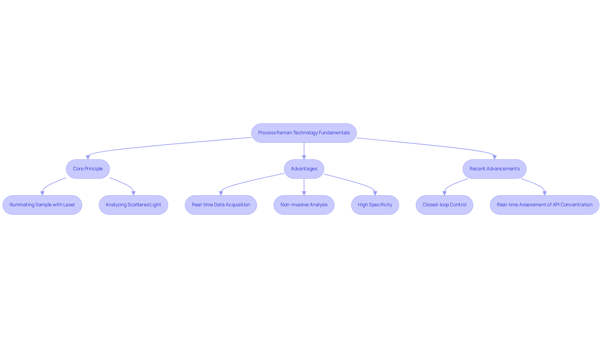 This flowchart outlines the key components of Process Raman technology. Start at the top with the fundamentals, then follow the arrows to see how the core principles lead to various advantages and recent advancements in the field.
