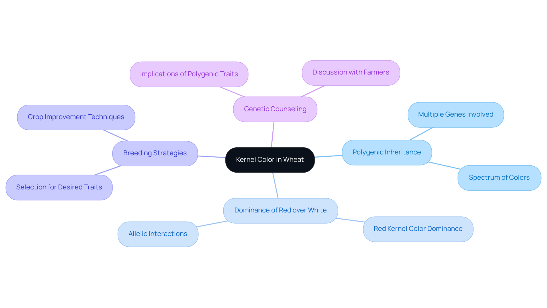 The center represents the main topic of kernel color, with branches showing how different aspects like genetics and agriculture relate to it. Follow the branches to explore the connections!