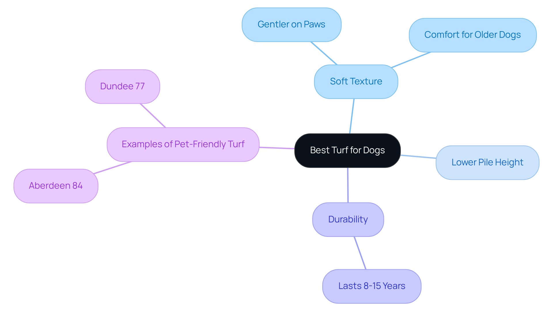 The center shows the main topic of turf for dogs, with branches detailing important features and examples. Each branch helps you see how these aspects contribute to your dog's comfort and safety.