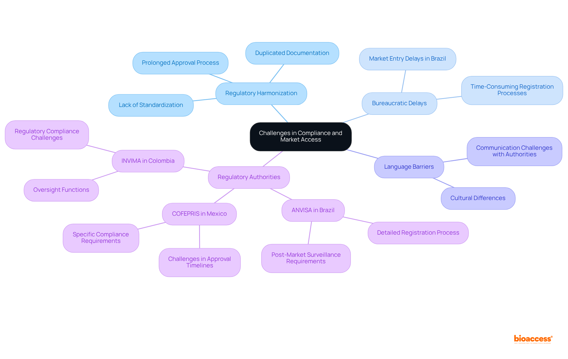 The central node captures the main theme, while branches represent key challenges. Sub-branches provide more detail, illustrating how each challenge is related to the overall issue of market access.