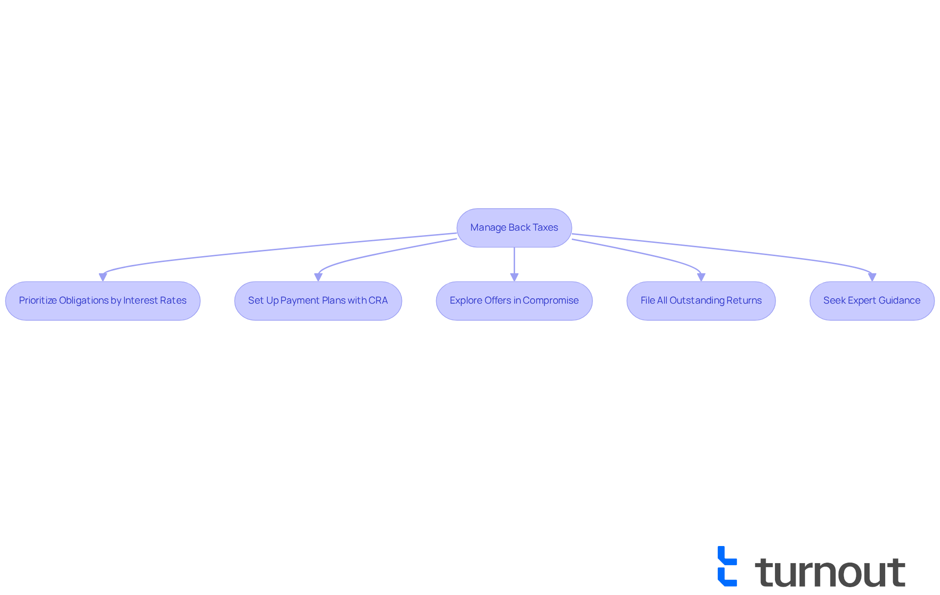Follow the arrows to see the recommended strategies for handling back taxes. Each box represents a step you can take to relieve your tax burden. Follow the arrows to see the recommended strategies for handling back taxes. Each box represents a step you can take to relieve your tax burden.