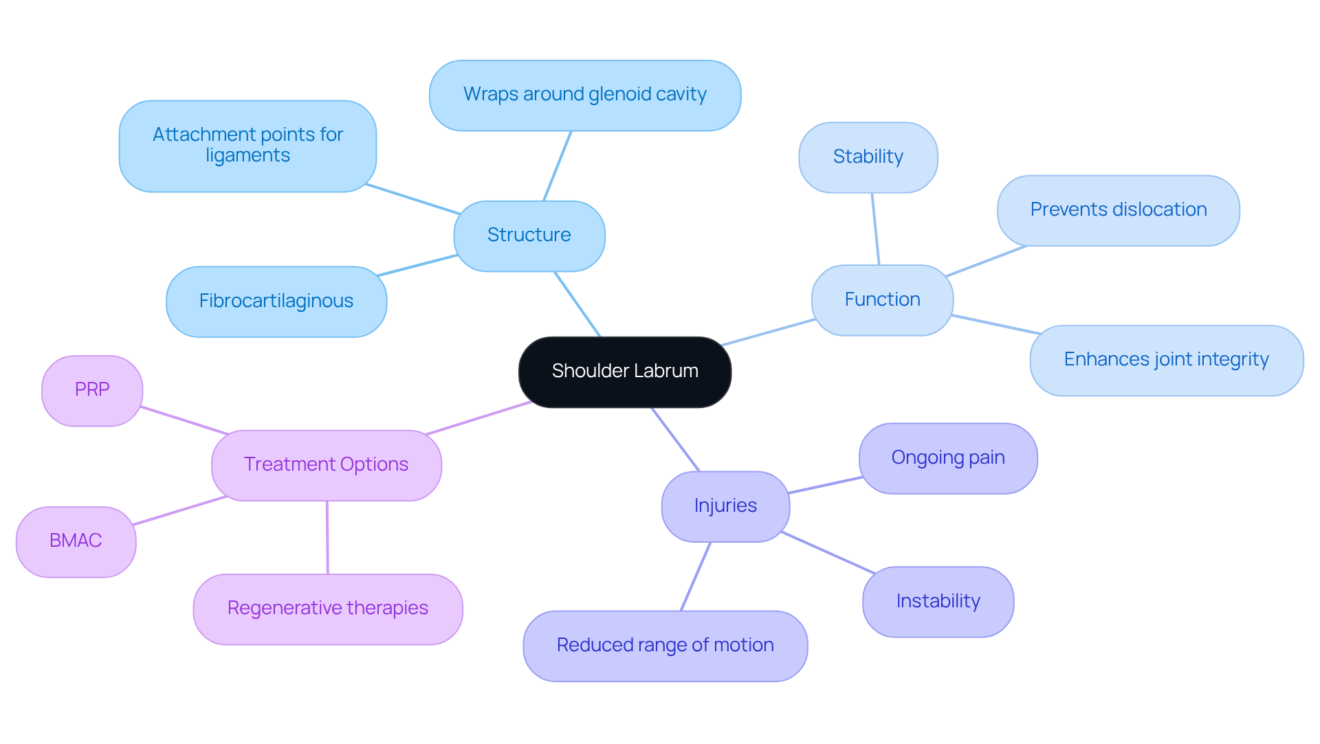 This mindmap starts with the shoulder labrum at the center, branching out to show its structure, functions, common injuries, and treatment options. Each branch helps you see how these elements connect, making it easier to understand the importance of the labrum in shoulder health.