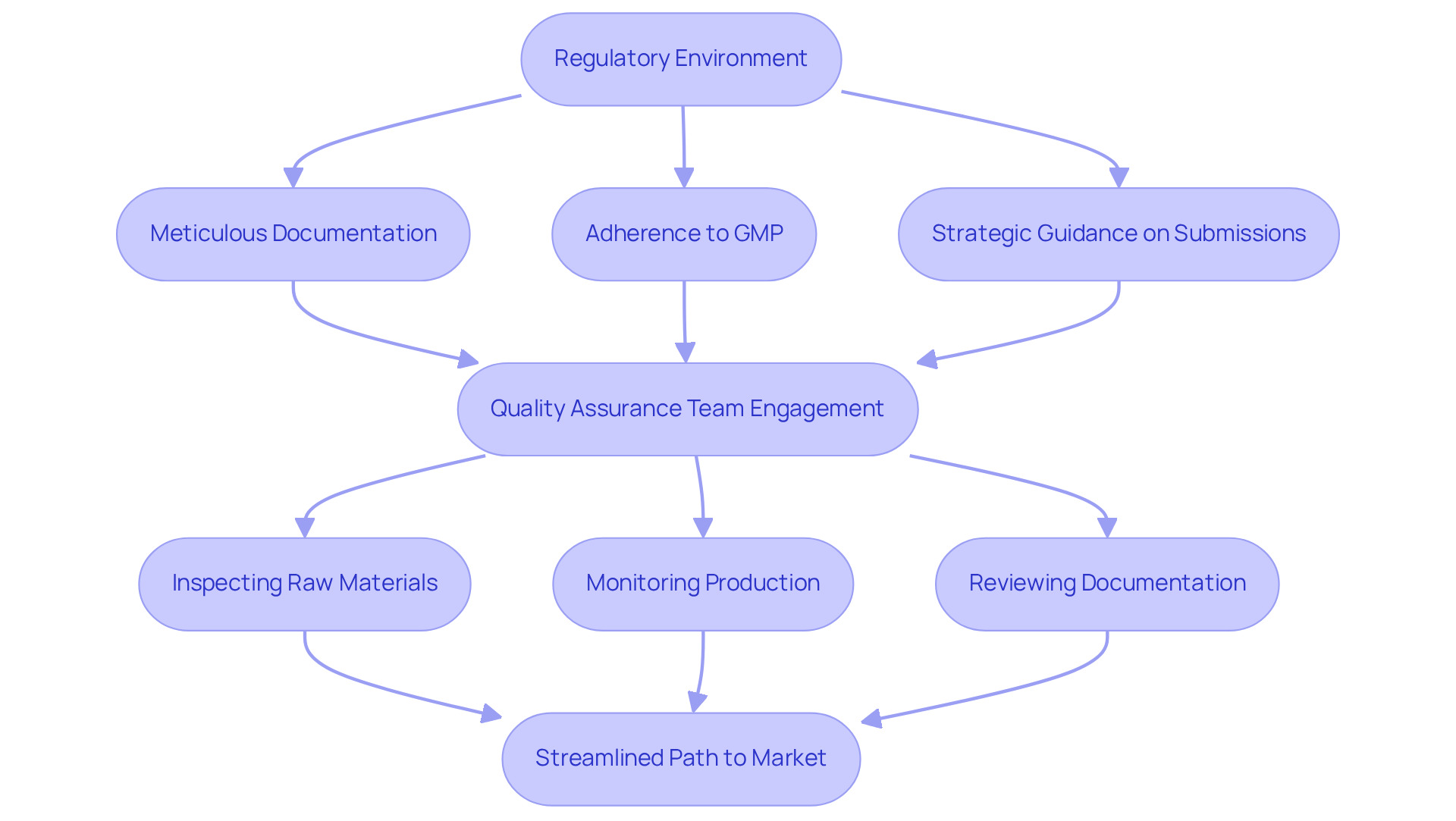 This flowchart shows the steps UPM Pharmaceuticals takes to ensure compliance in late-stage manufacturing. Each box represents a key part of the process, and the arrows indicate the order in which these steps occur. Follow the flow to see how each step contributes to successfully navigating regulatory requirements.