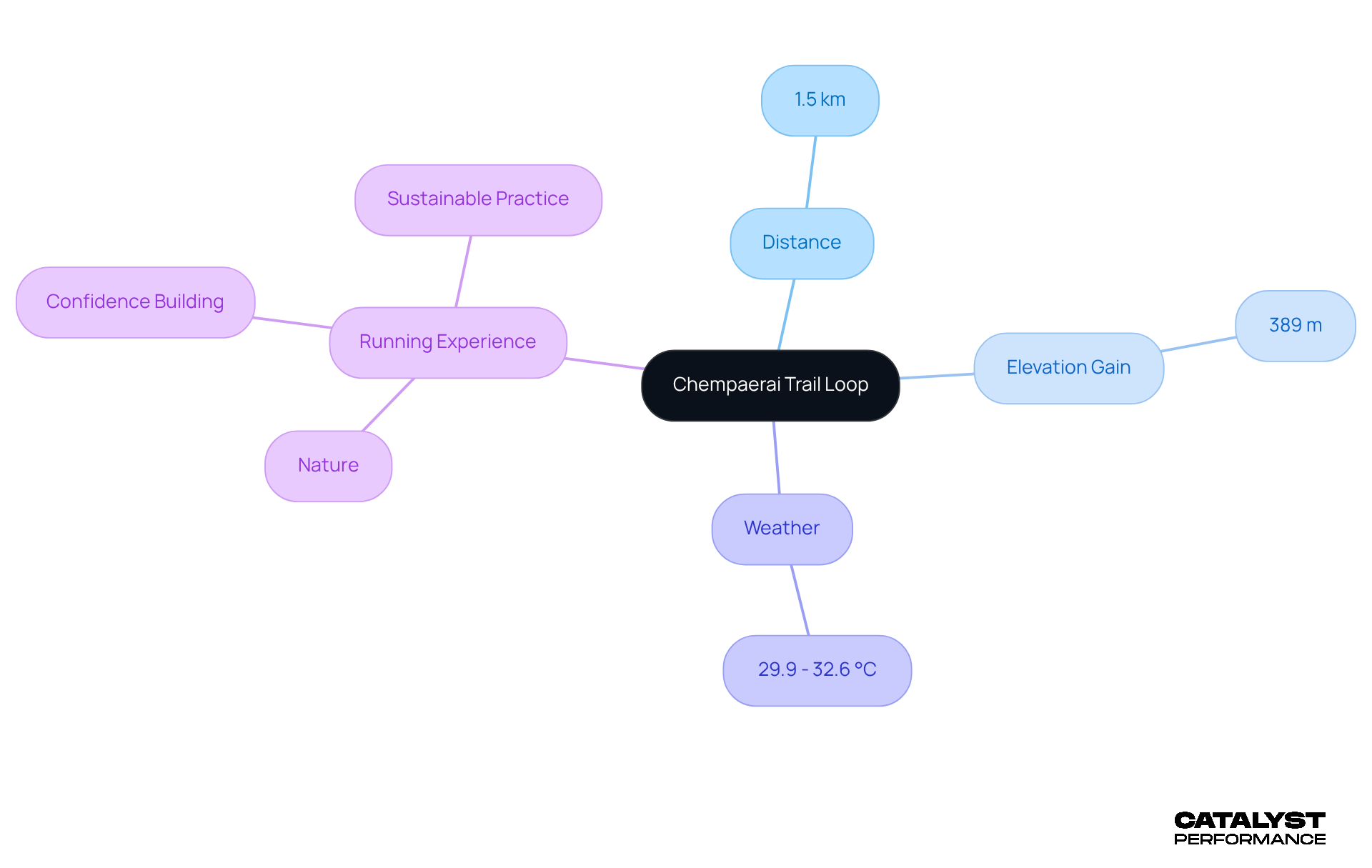 Start at the center with the trail name, then follow the branches to discover its distance, elevation, weather considerations, and the enriching experience it offers to new runners.