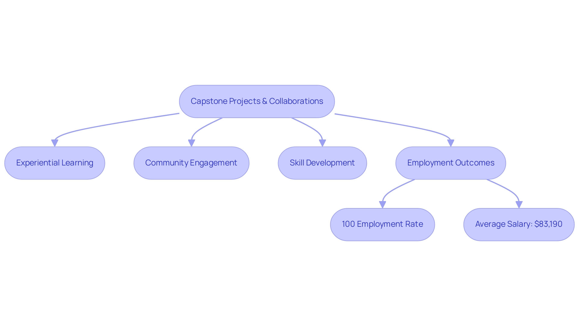 Blue boxes represent educational initiatives, green boxes depict skill development, and orange boxes illustrate employment outcomes and statistics. Blue boxes represent educational initiatives, green boxes depict skill development, and orange boxes illustrate employment outcomes and statistics.