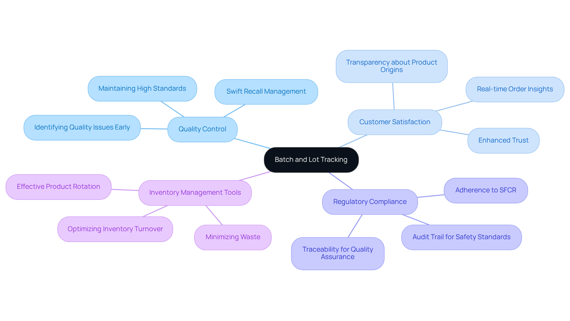 The central node represents the main topic of batch and lot tracking. Each branch shows a key theme related to this topic, with further details branching out to explain the benefits and implications of effective tracking.