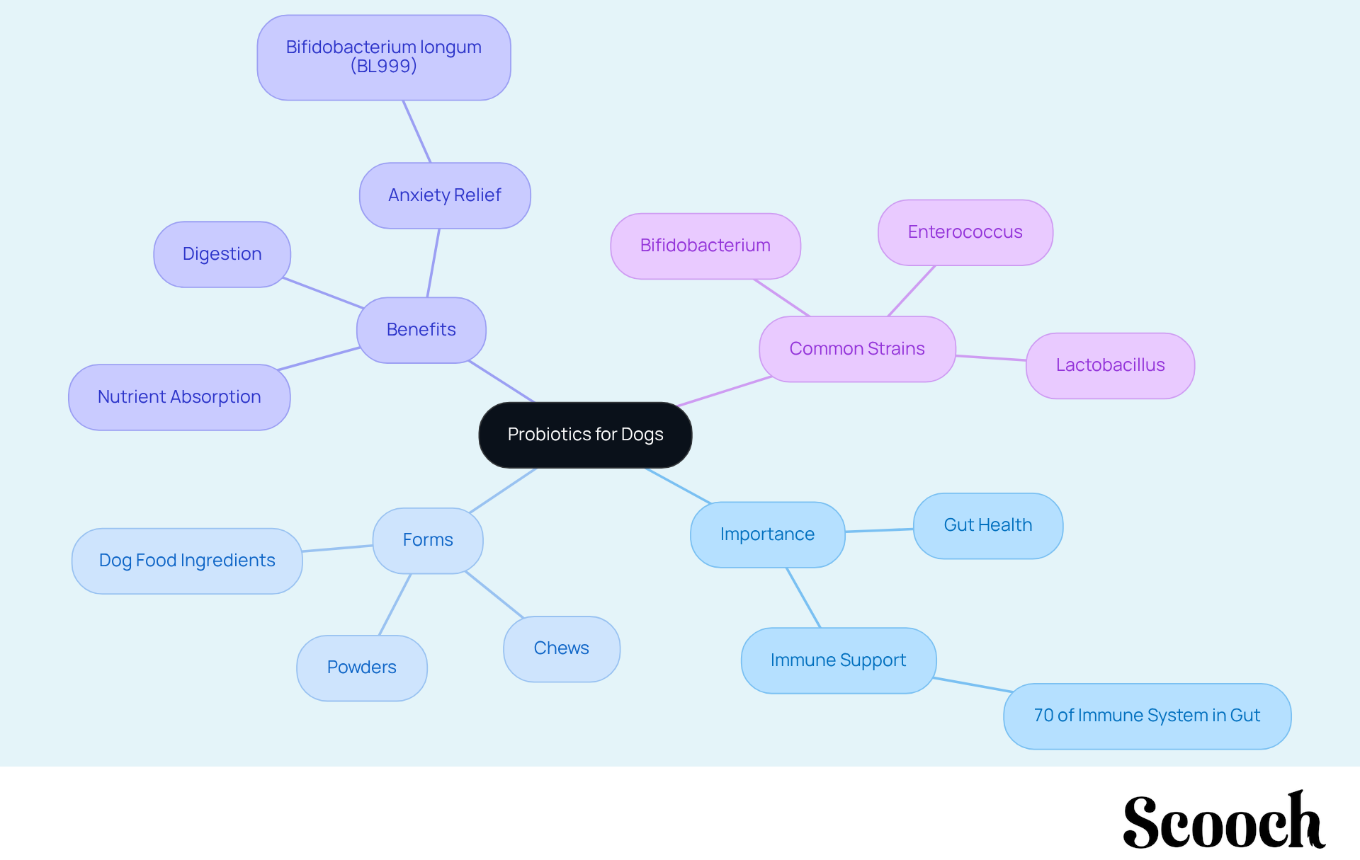 The central node represents the main topic of probiotics for dogs. Each branch explores different facets, such as why they are important, the various forms they come in, the benefits they provide, and the common strains found in supplements. This layout helps you see how everything connects. The central node represents the main topic of probiotics for dogs. Each branch explores different facets, such as why they are important, the various forms they come in, the benefits they provide, and the common strains found in supplements. This layout helps you see how everything connects.