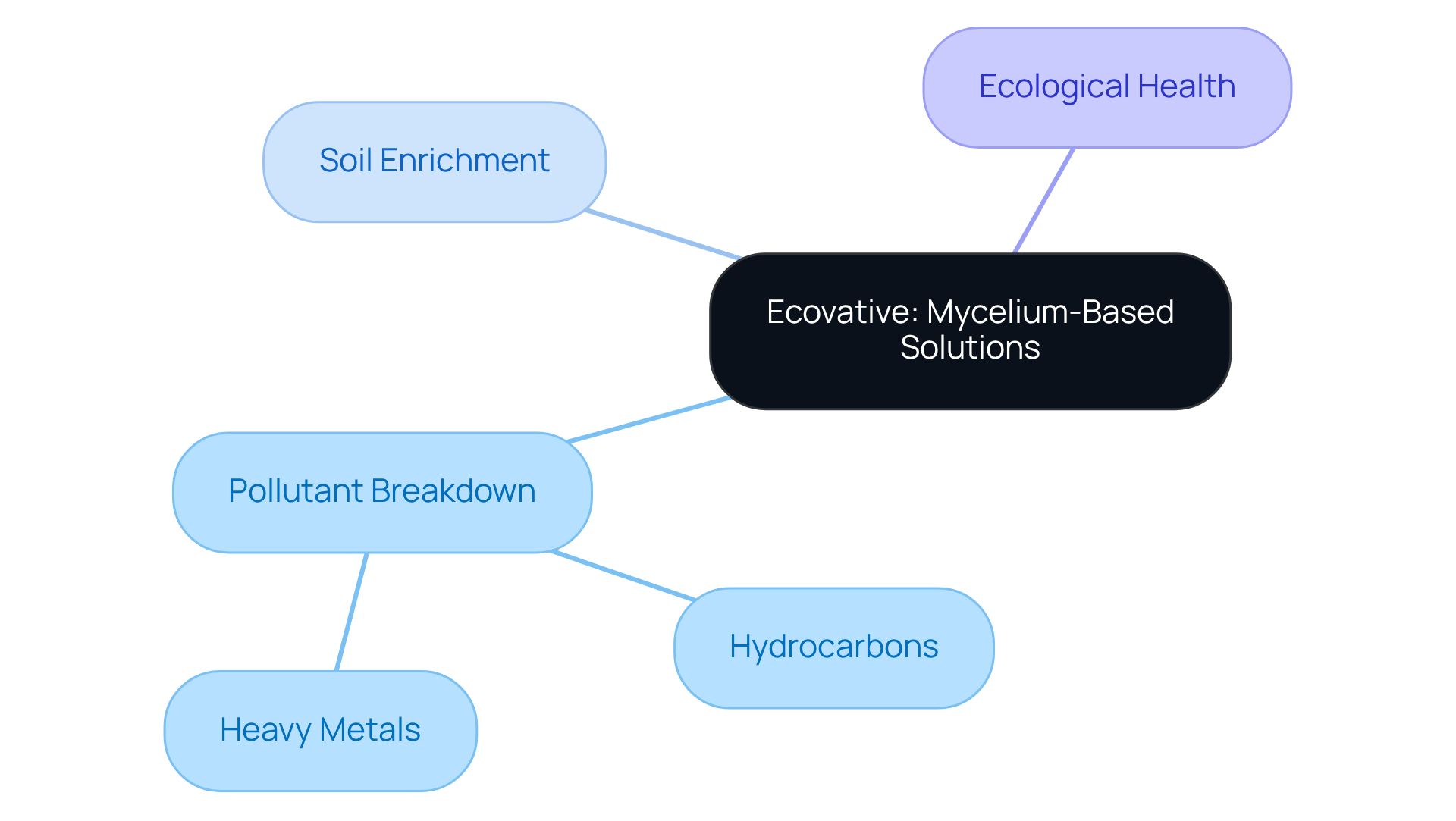 The center represents Ecovative's innovative approach, while the branches show how mycelium helps in breaking down pollutants, enriching soil, and promoting ecological health.