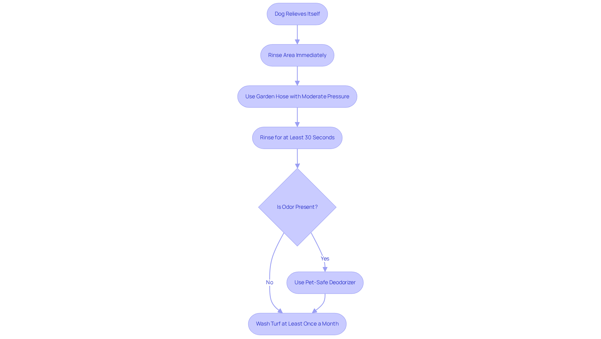 Follow the arrows to see the steps for cleaning pet urine from synthetic grass. Each box represents an action you need to take, and the decision point helps you determine if further action is needed.