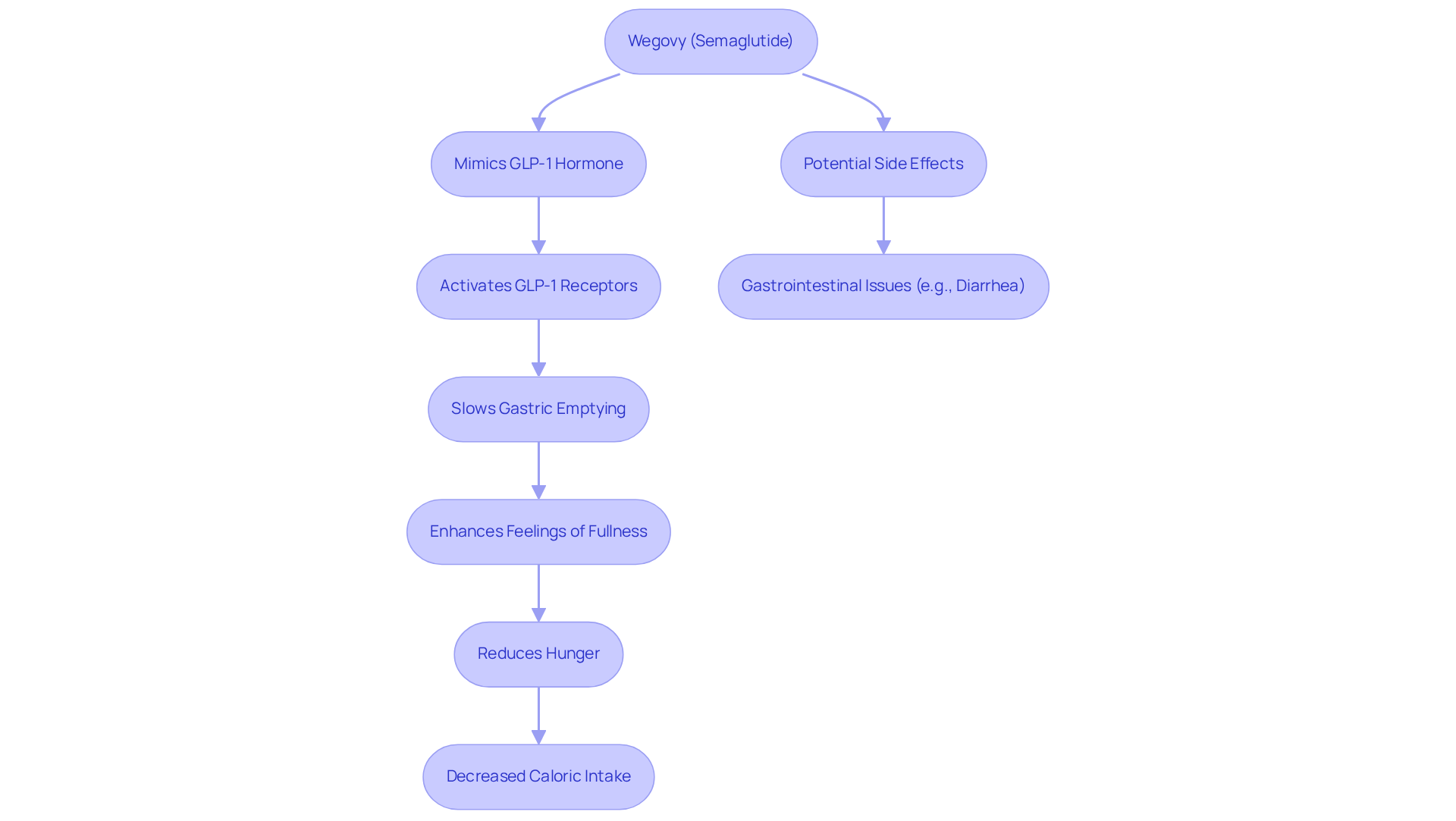 This flowchart shows how Wegovy works in the body to help with weight management. Each step illustrates how the medication affects appetite and digestion, leading to weight loss. The side effects are noted to remind users that while there may be discomfort, the overall benefits can be significant.